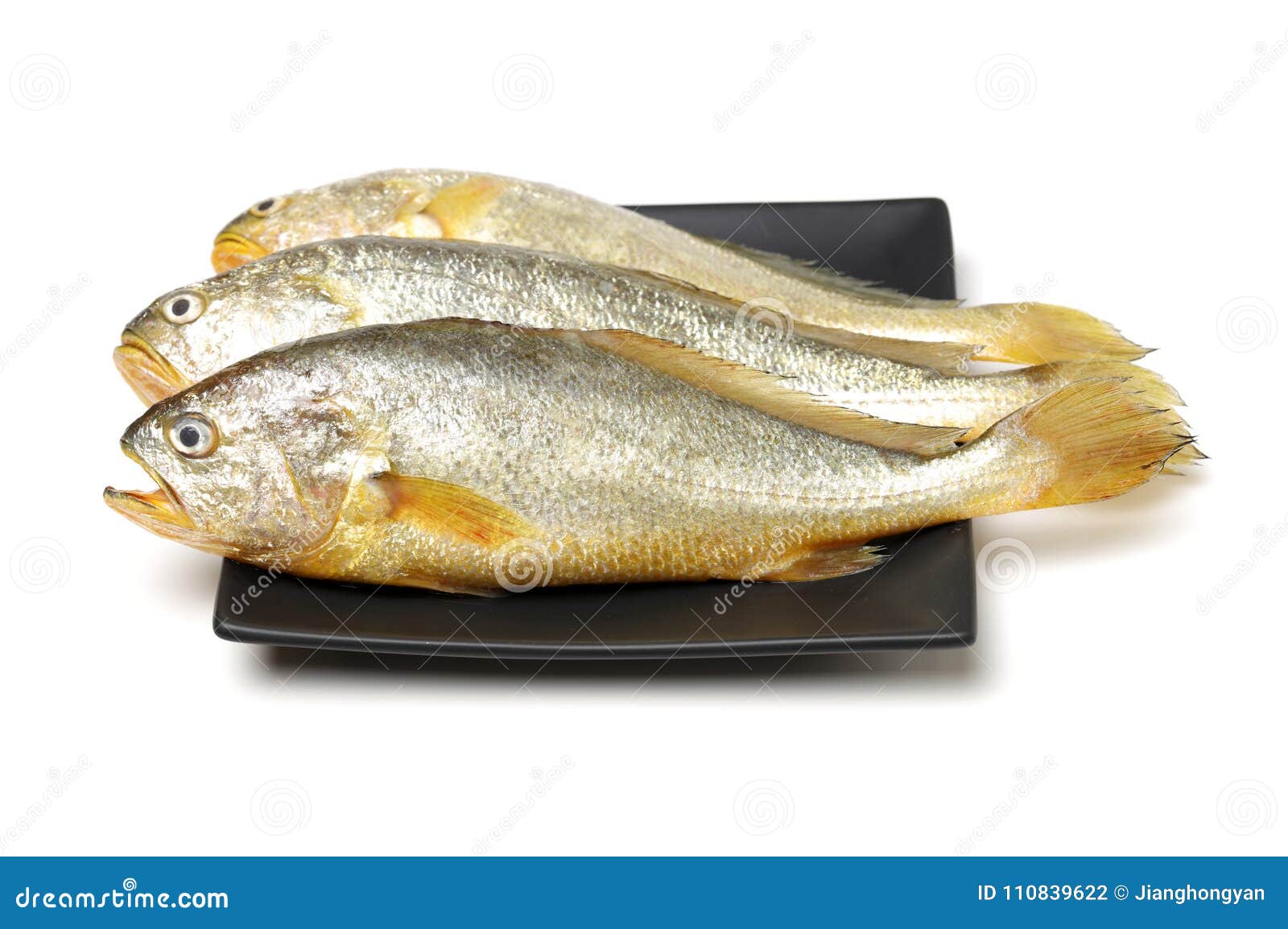 Yellow Croaker Fish stock photo. Image of white, croaker - 110839622