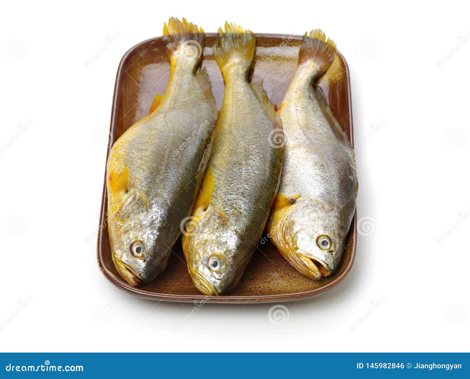 Yellow Croaker Fish stock photo. Image of block, gourmet - 145982846