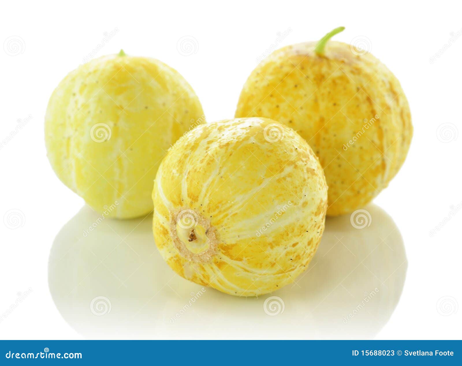 Yellow cucumbers stock image. Image of vegetarian, yellow - 15688023