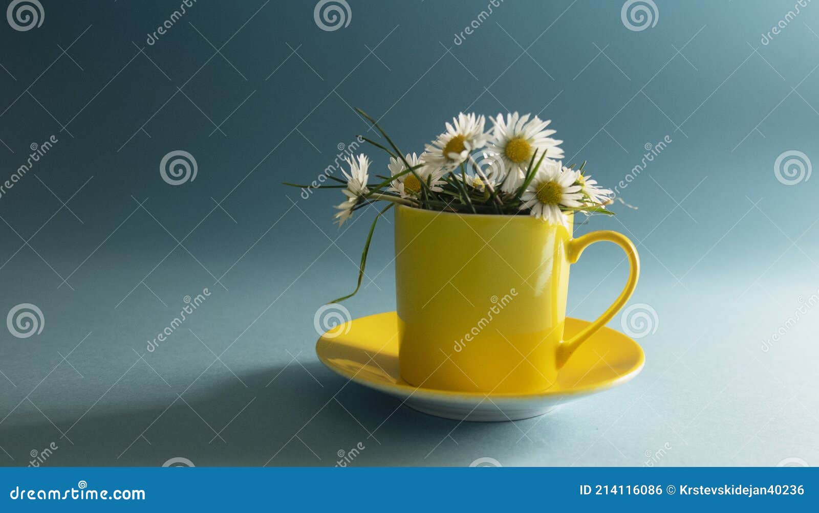 Yellow Cup with Real Grass and Flower Stock Photo - Image of real ...