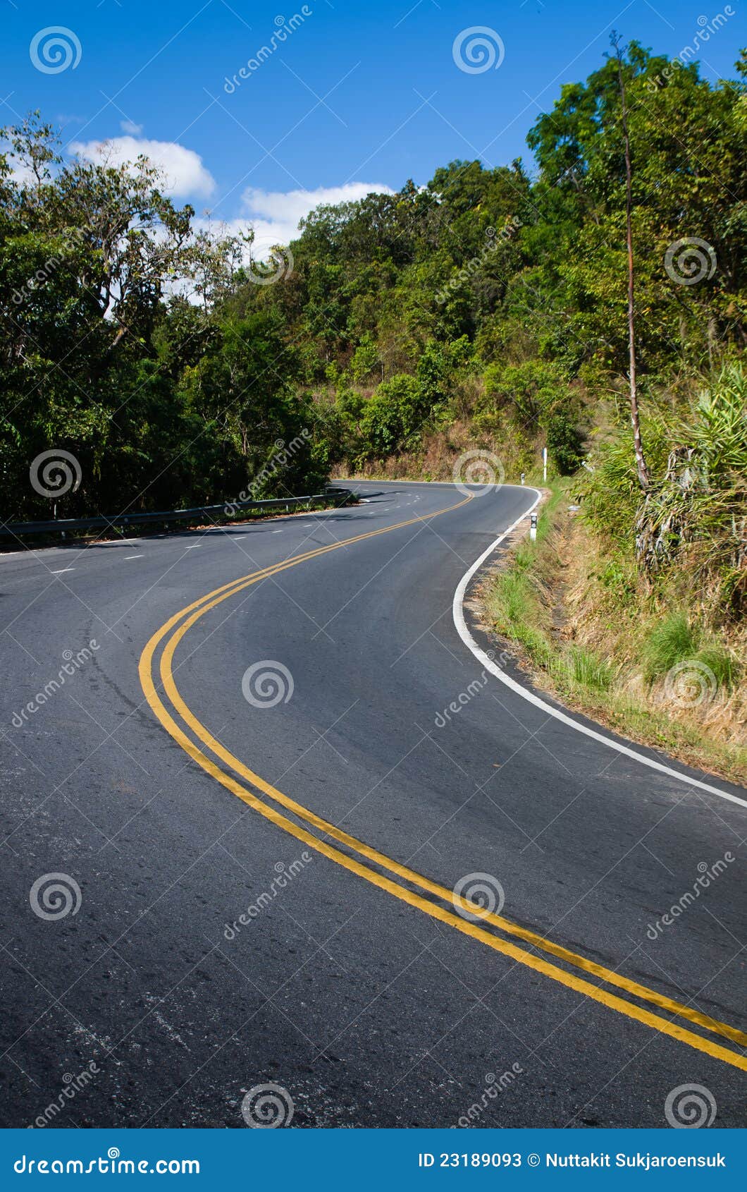 Yellow Curve Line on the Way Stock Image - Image of high, forest: 23189093