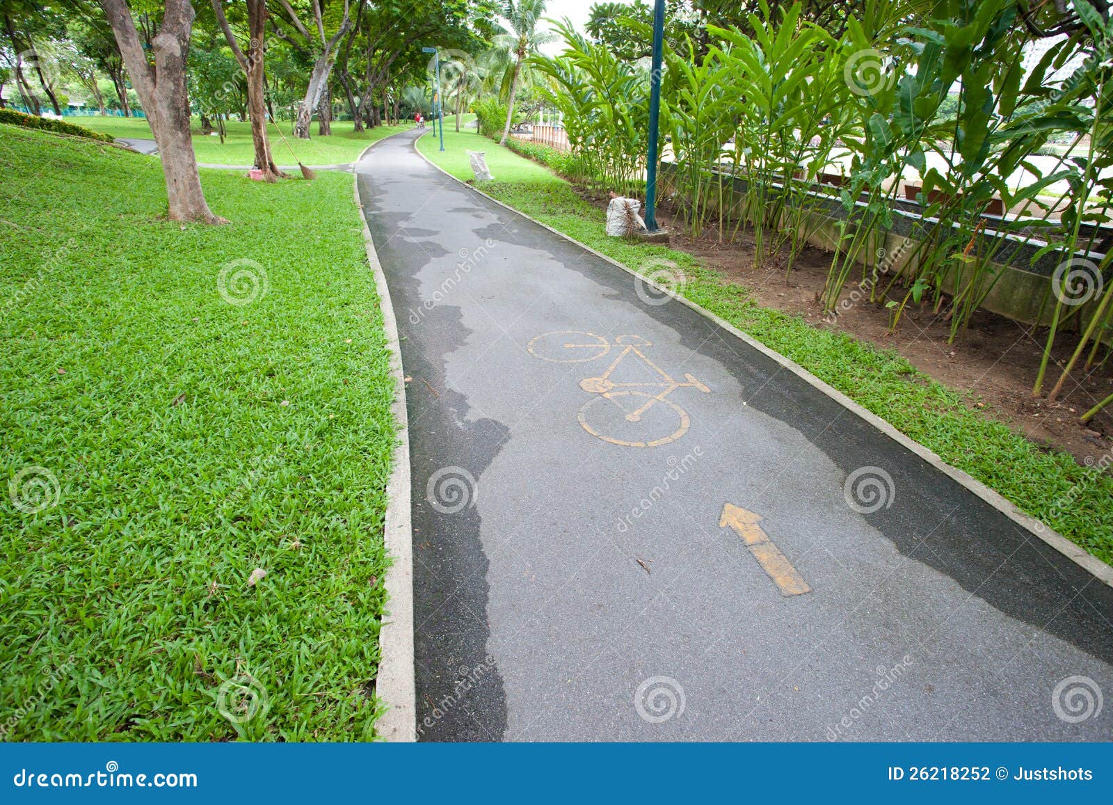 Yellow Cycle Track and Garden View Stock Photo - Image of asphalt ...