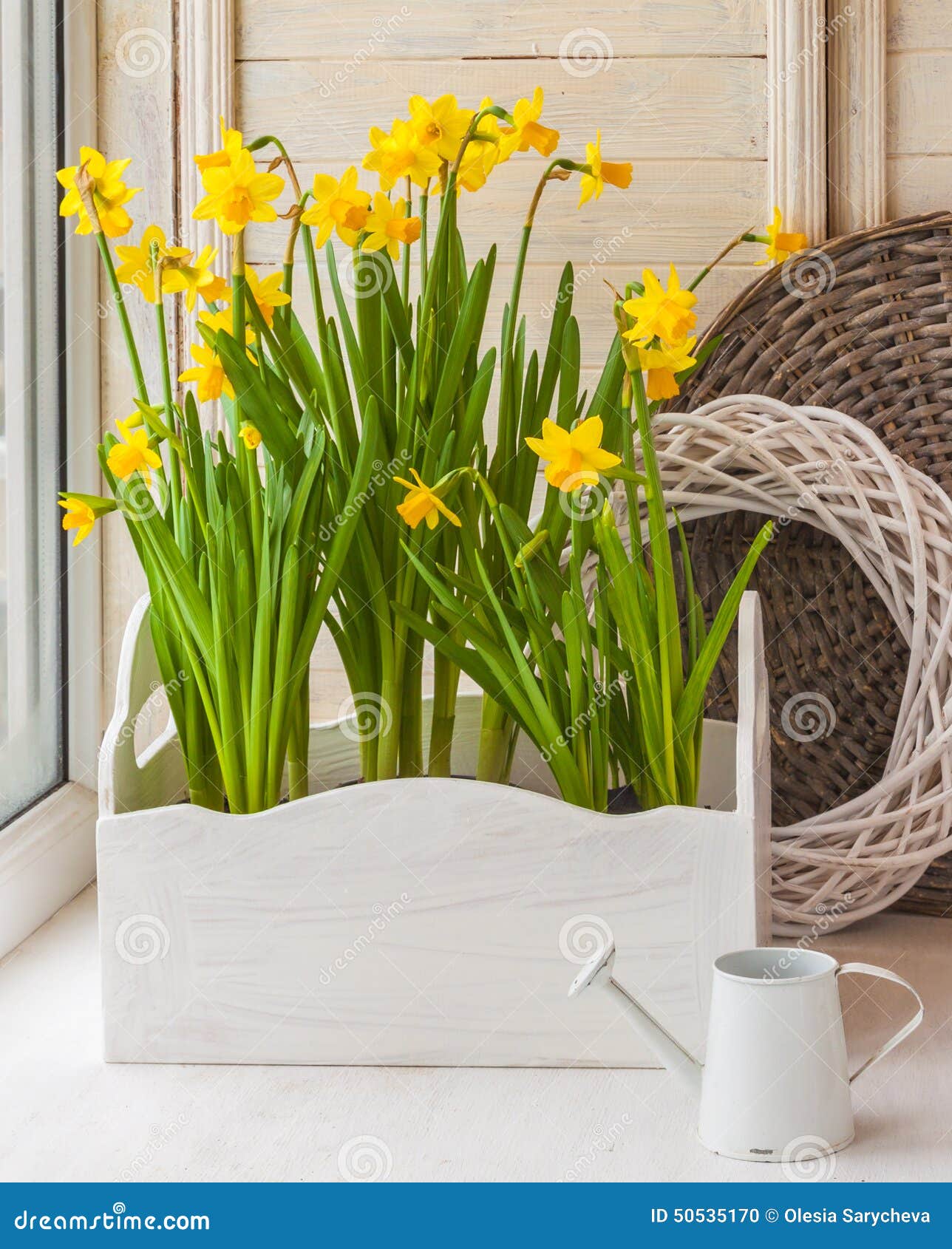 Yellow Daffodils in Balcony Boxes for Flowers Stock Photo - Image of ...