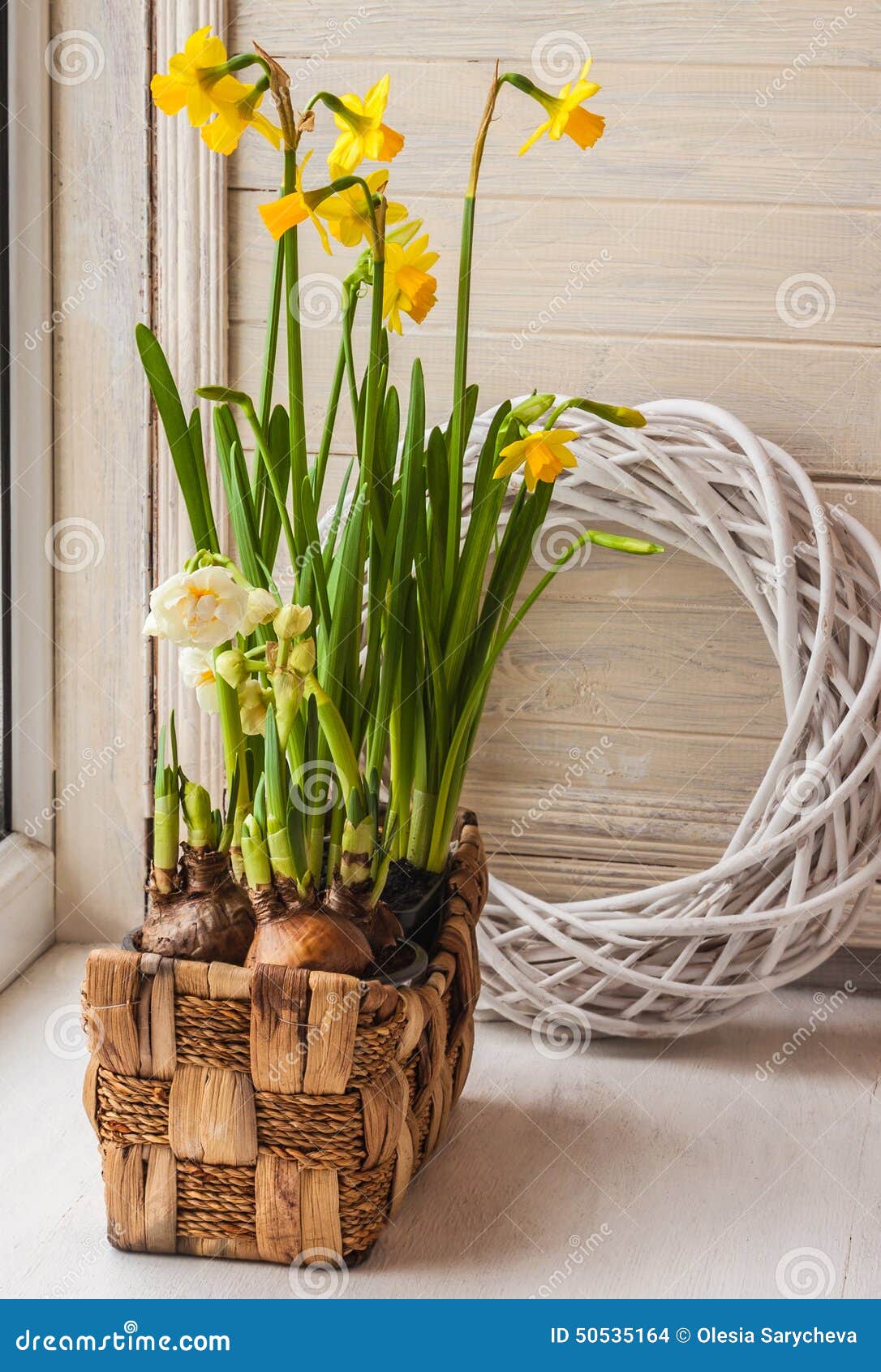 Yellow Daffodils in Balcony Boxes for Flowers Stock Photo - Image of ...