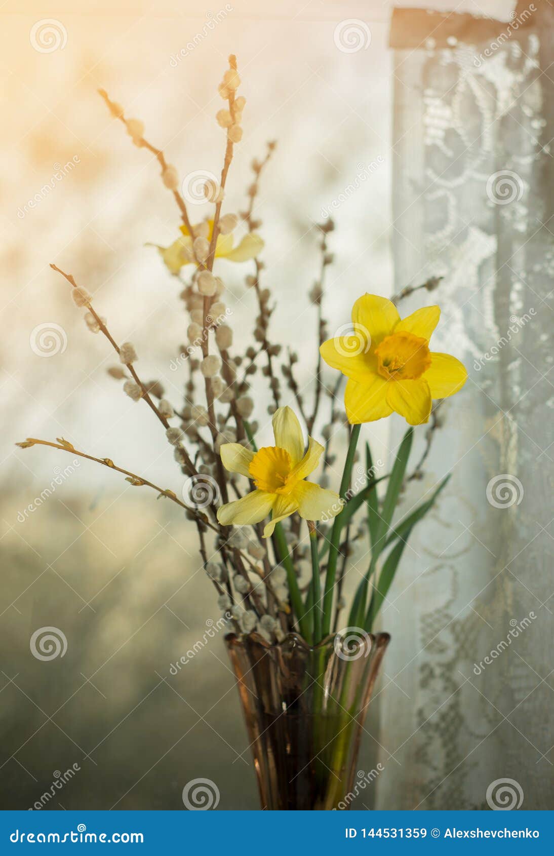Yellow Daffodils in the Morning Light Stock Image - Image of morning ...