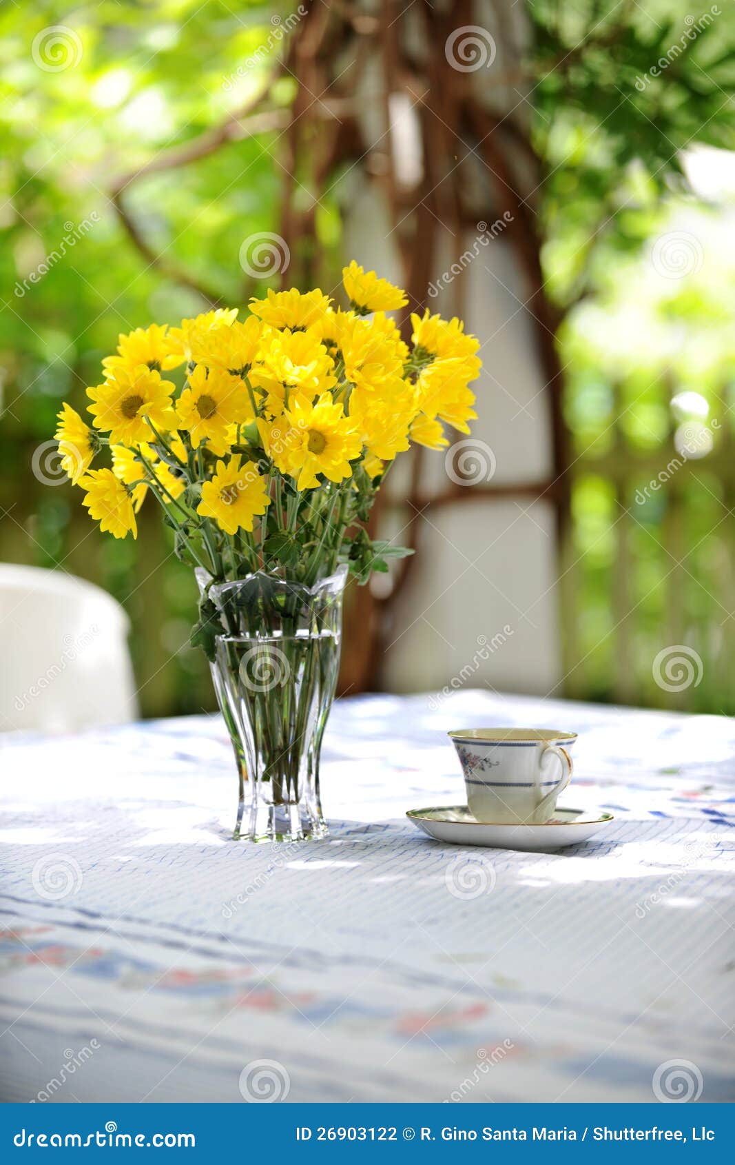 Yellow Daisies and Tea Cup Outdoors Stock Photo - Image of design ...