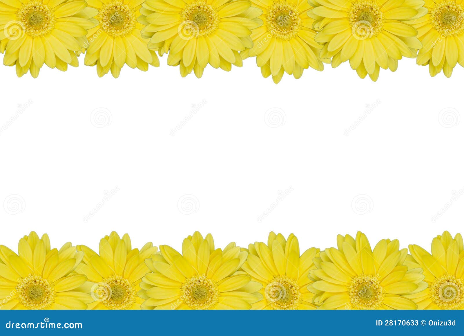 Daisy Frame Royalty-Free Stock Photography | CartoonDealer.com #1375247