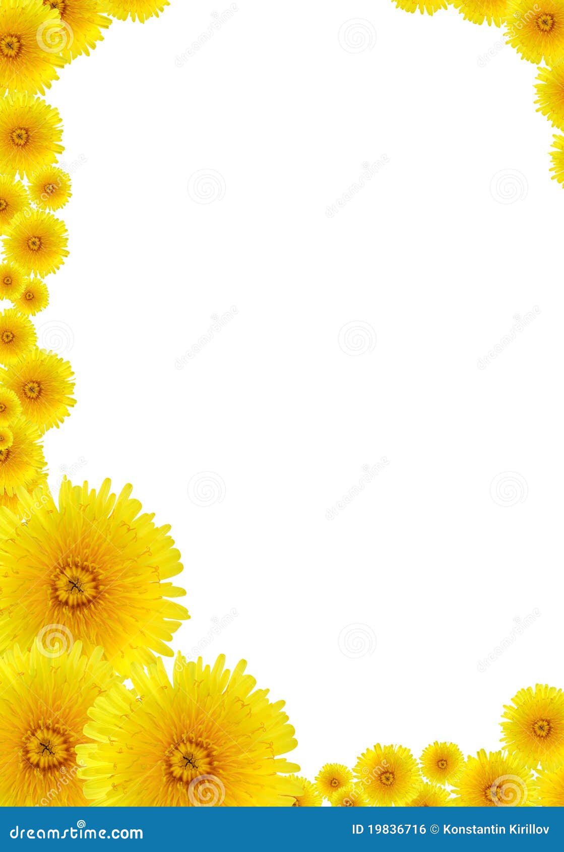 Yellow Dandelions Frame stock photo. Image of herb, element - 19836716