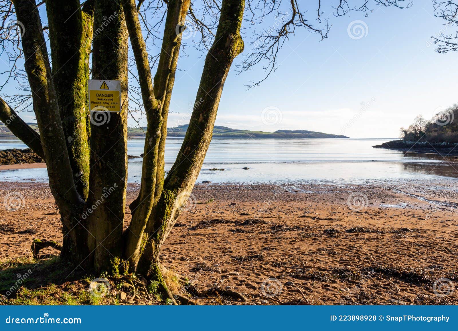 Yellow Danger Quicksand, Please Say Clear of the Wreck Sign on a Tree ...