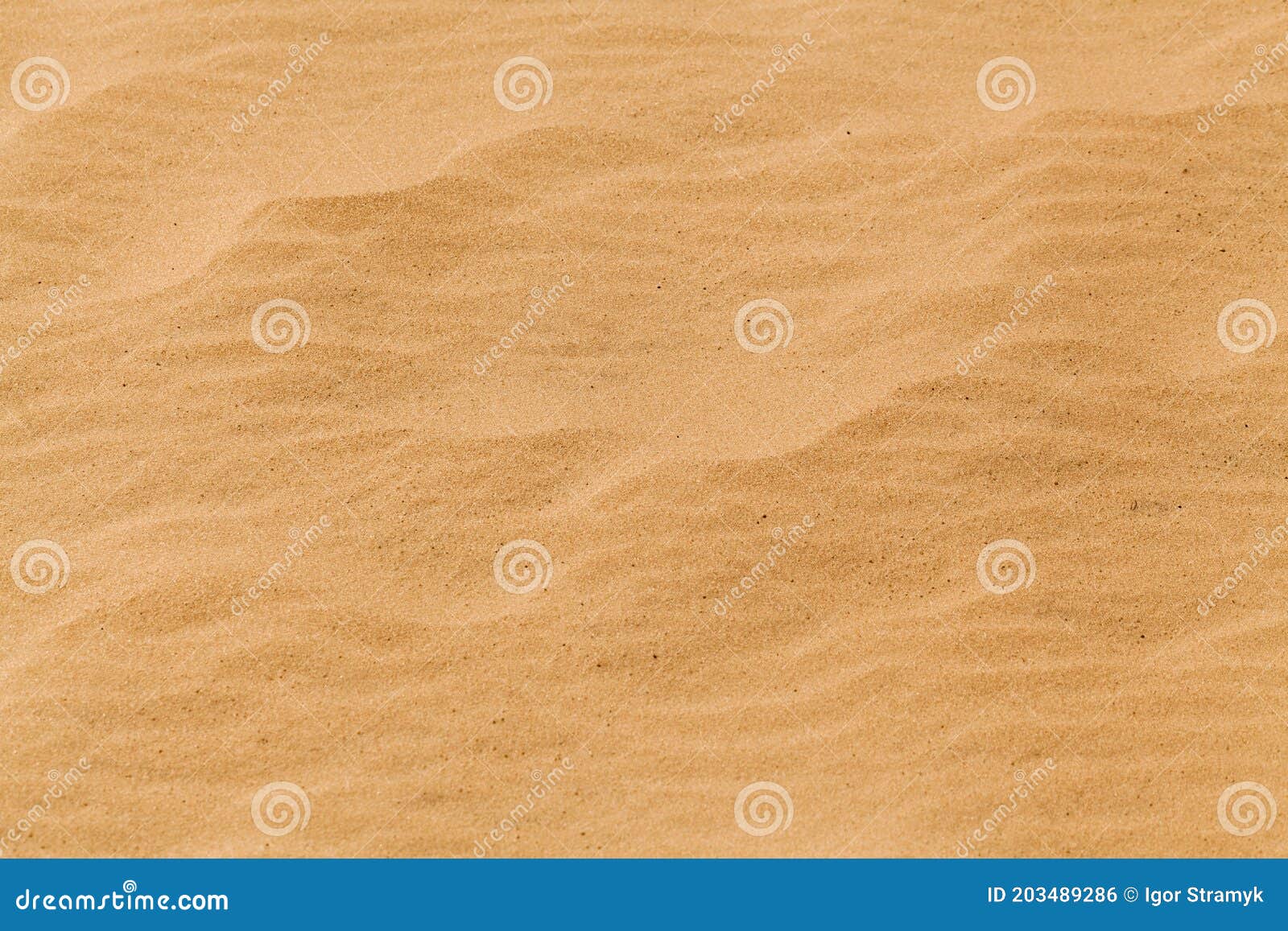 Yellow Desert Sand Diamond Crown Put Into Golden Sun Natural Hot Middle ...