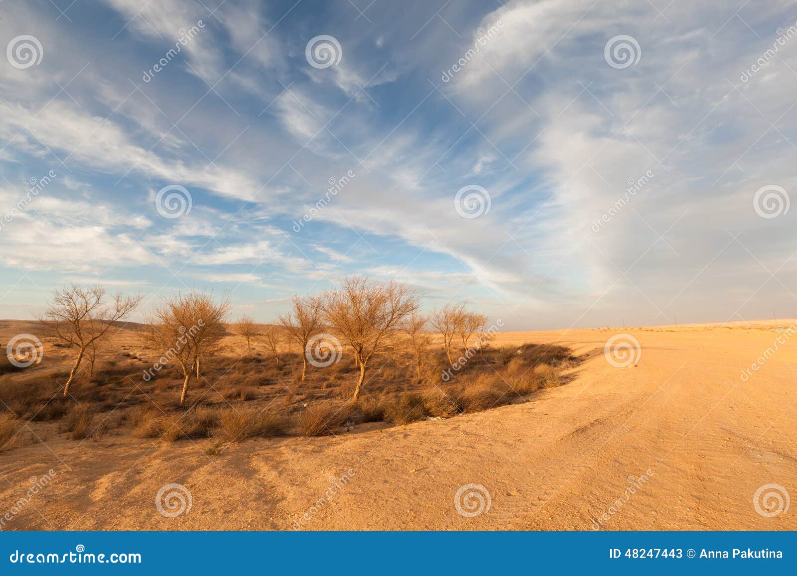 Yellow desert stock image. Image of national, landscape - 48247443