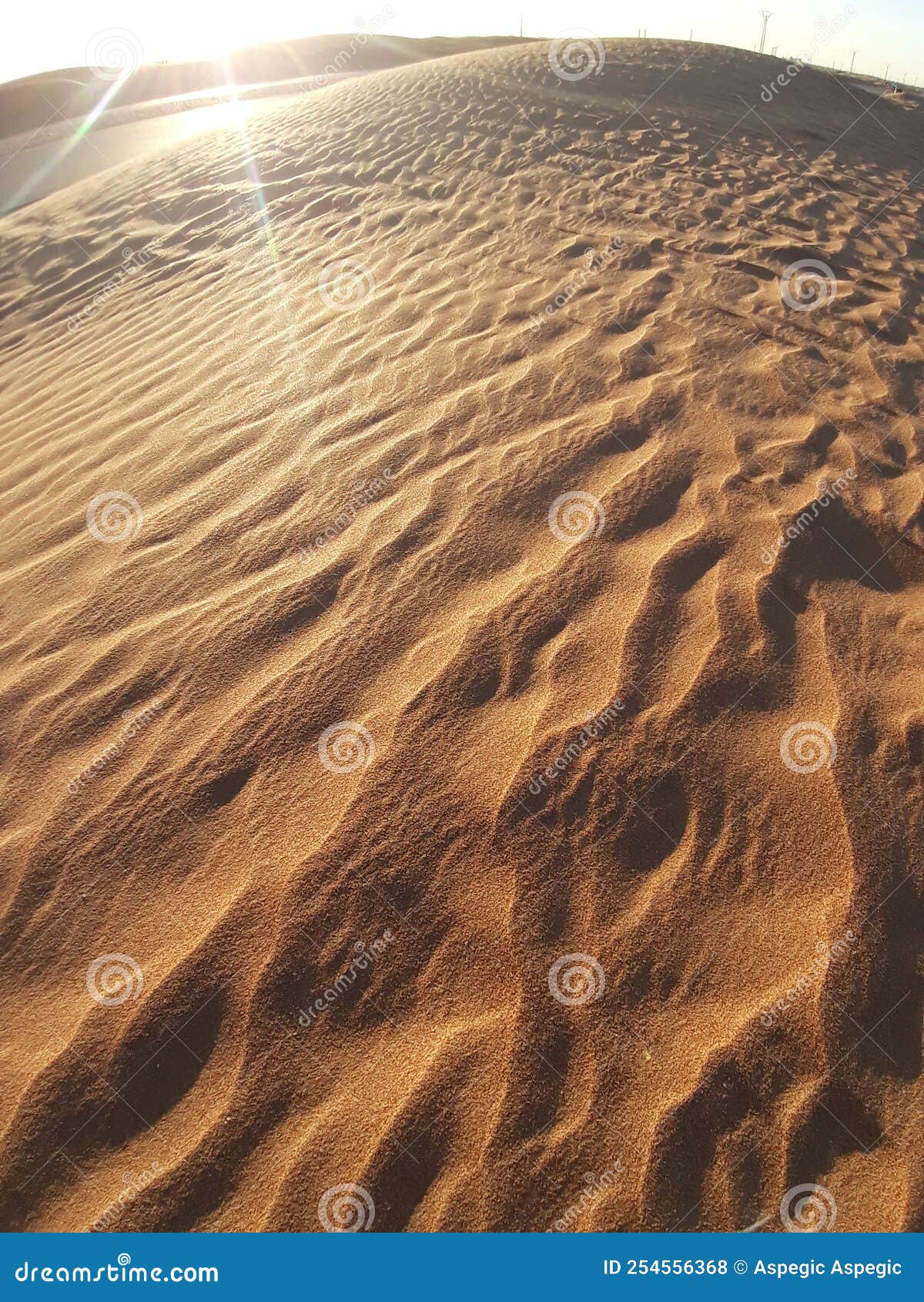 Yellow desert . stock photo. Image of pattern, circle - 254556368