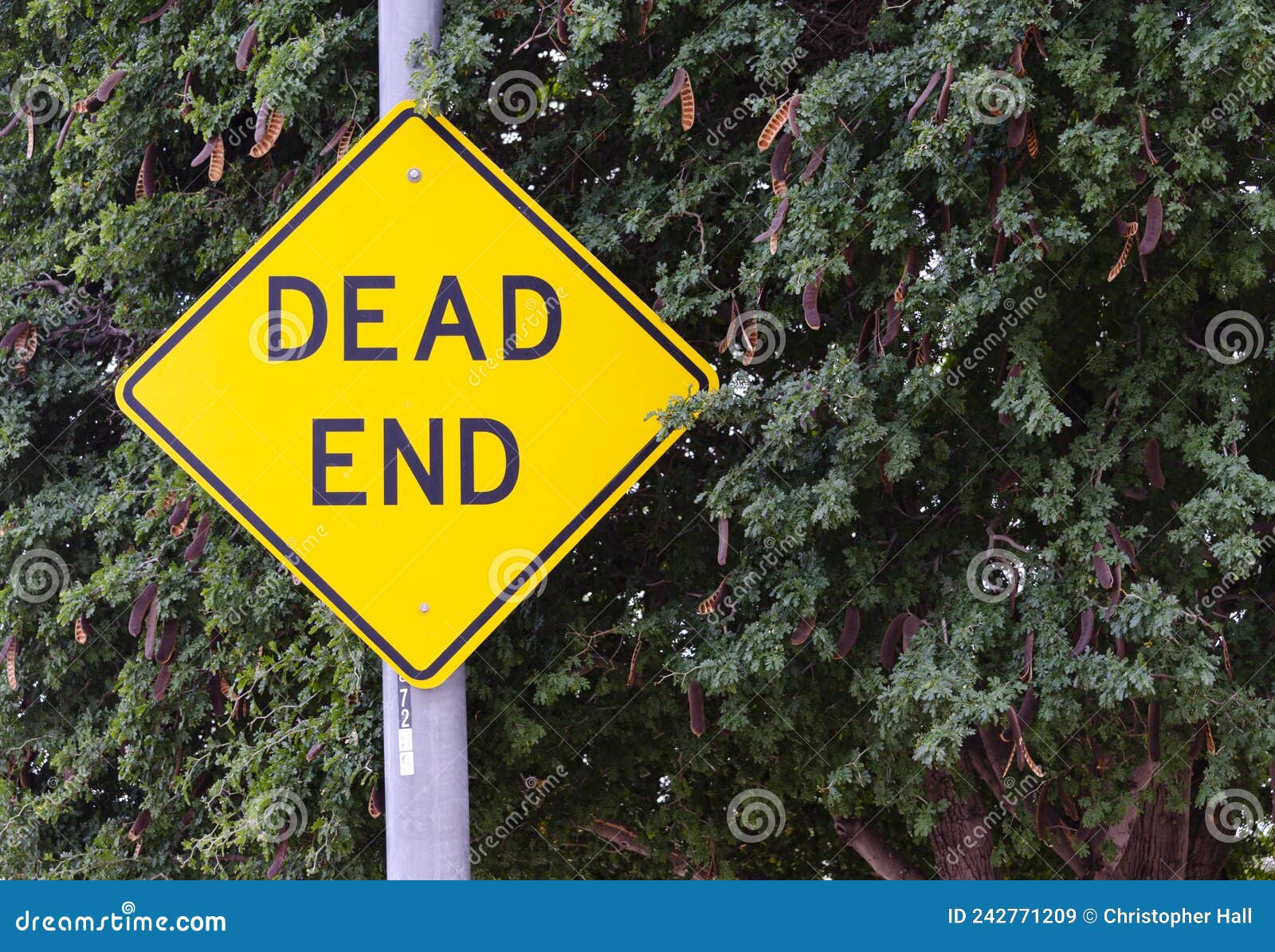 Dead end road sign stock image. Image of signs, signage - 242771209