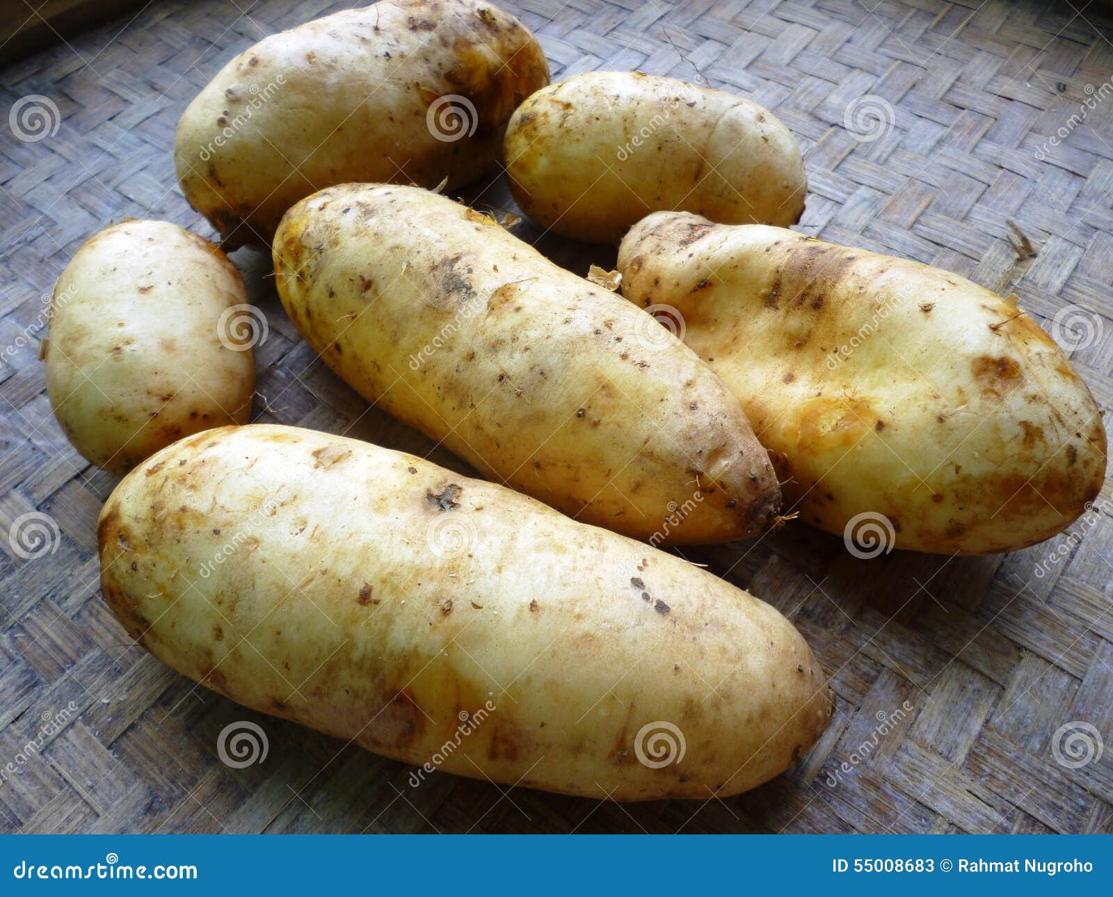 Yellow Dioscorea Esculenta Yam Stock Image - Image of large, health ...