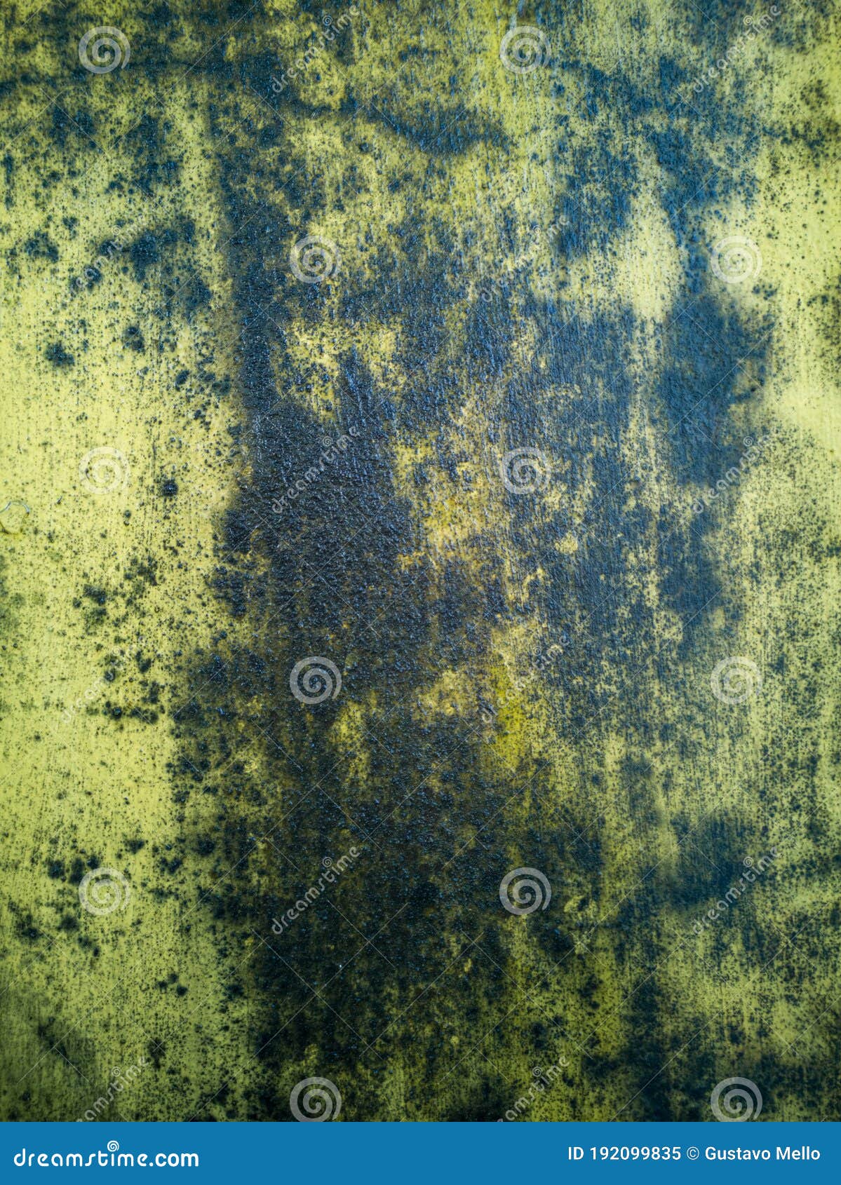 Yellow Dirty and Humid and Old Concrete Wall Texture Background Stock ...