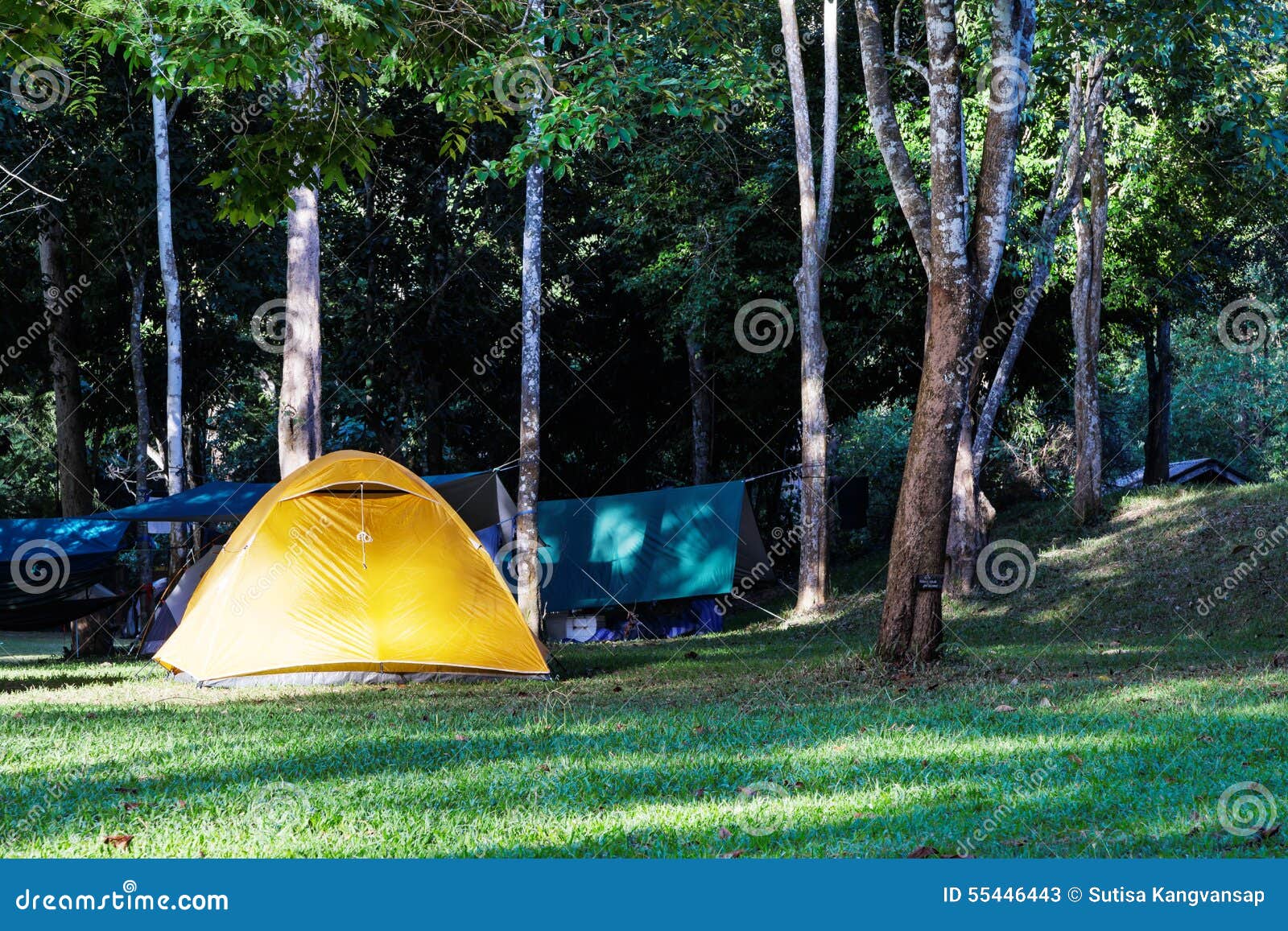 Yellow Dome Tent in Camping Stock Image - Image of tranquil, site: 55446443