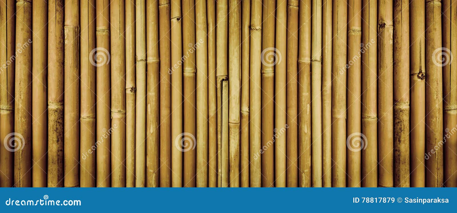 Dried Bamboo Cane Trunk Texture Royalty-Free Stock Photography ...