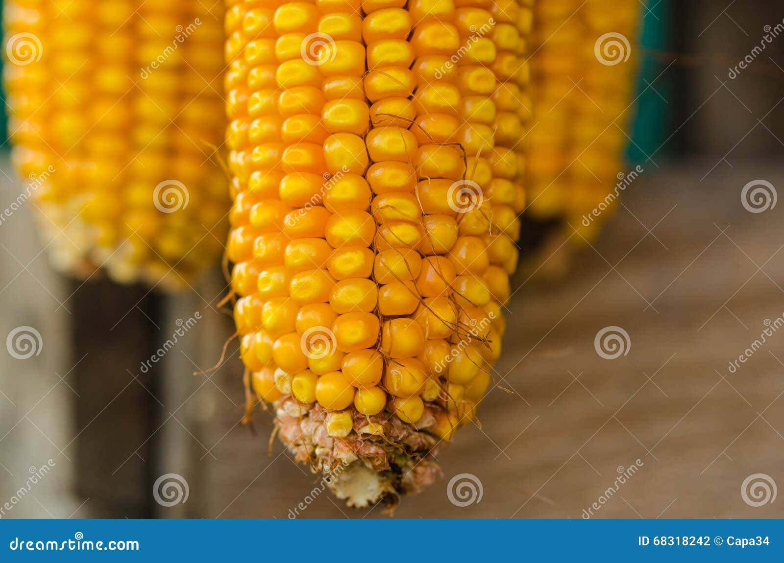 Yellow Dried Corn Bundle Together Texture Stock Photo - Image of ...