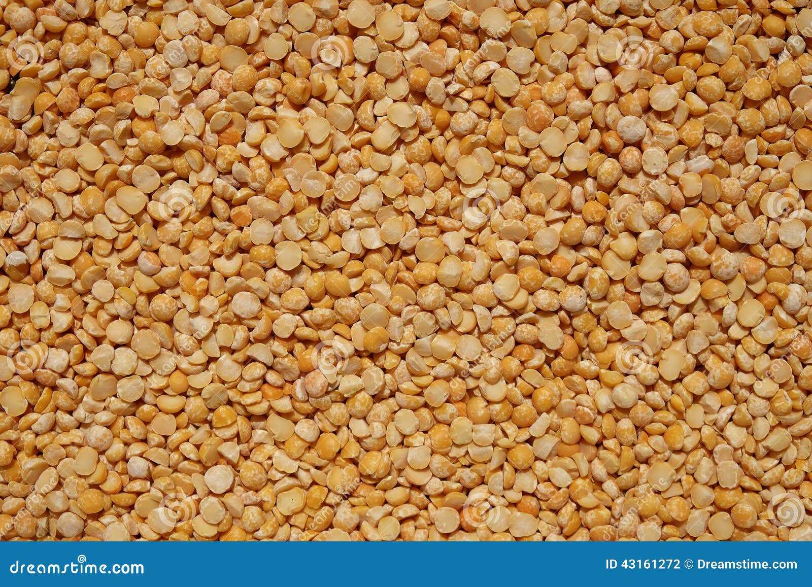 Yellow dried peas stock photo. Image of grain, peas, macro - 43161272