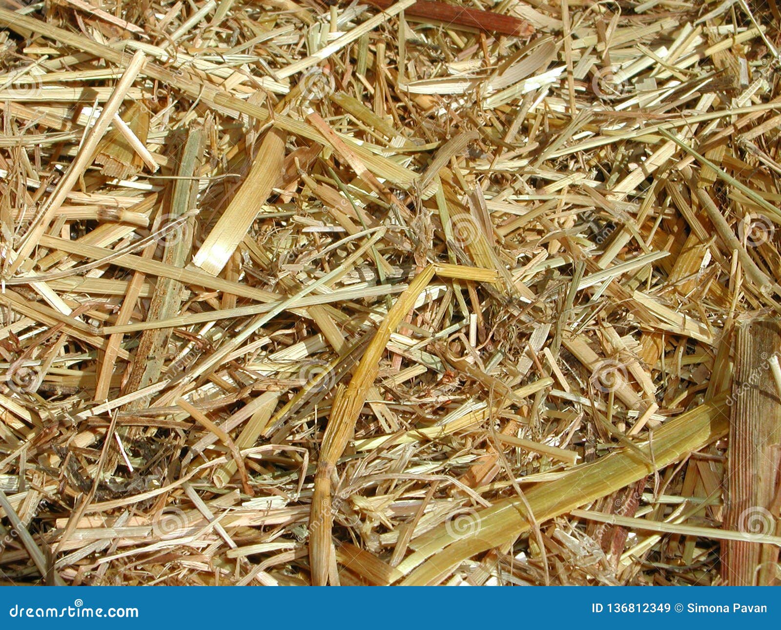 Dried straw close up stock image. Image of environment - 136812349