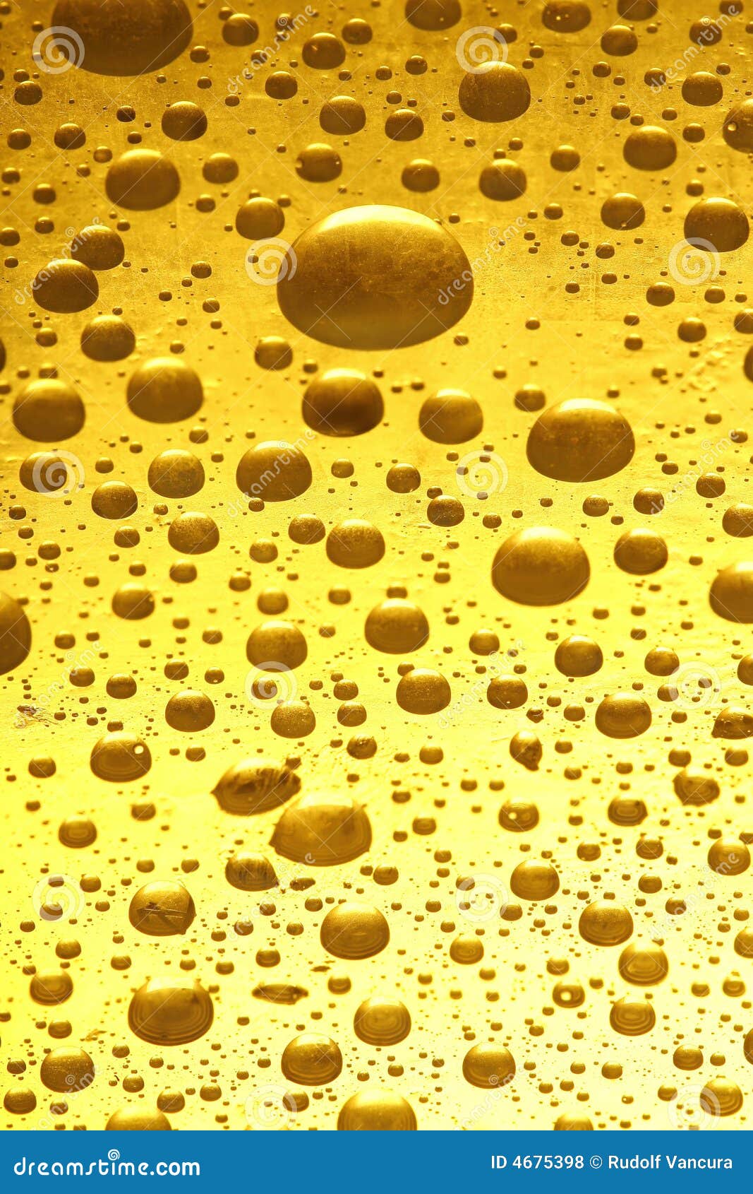 Yellow Drops stock photo. Image of raindrop, raindrops - 4675398