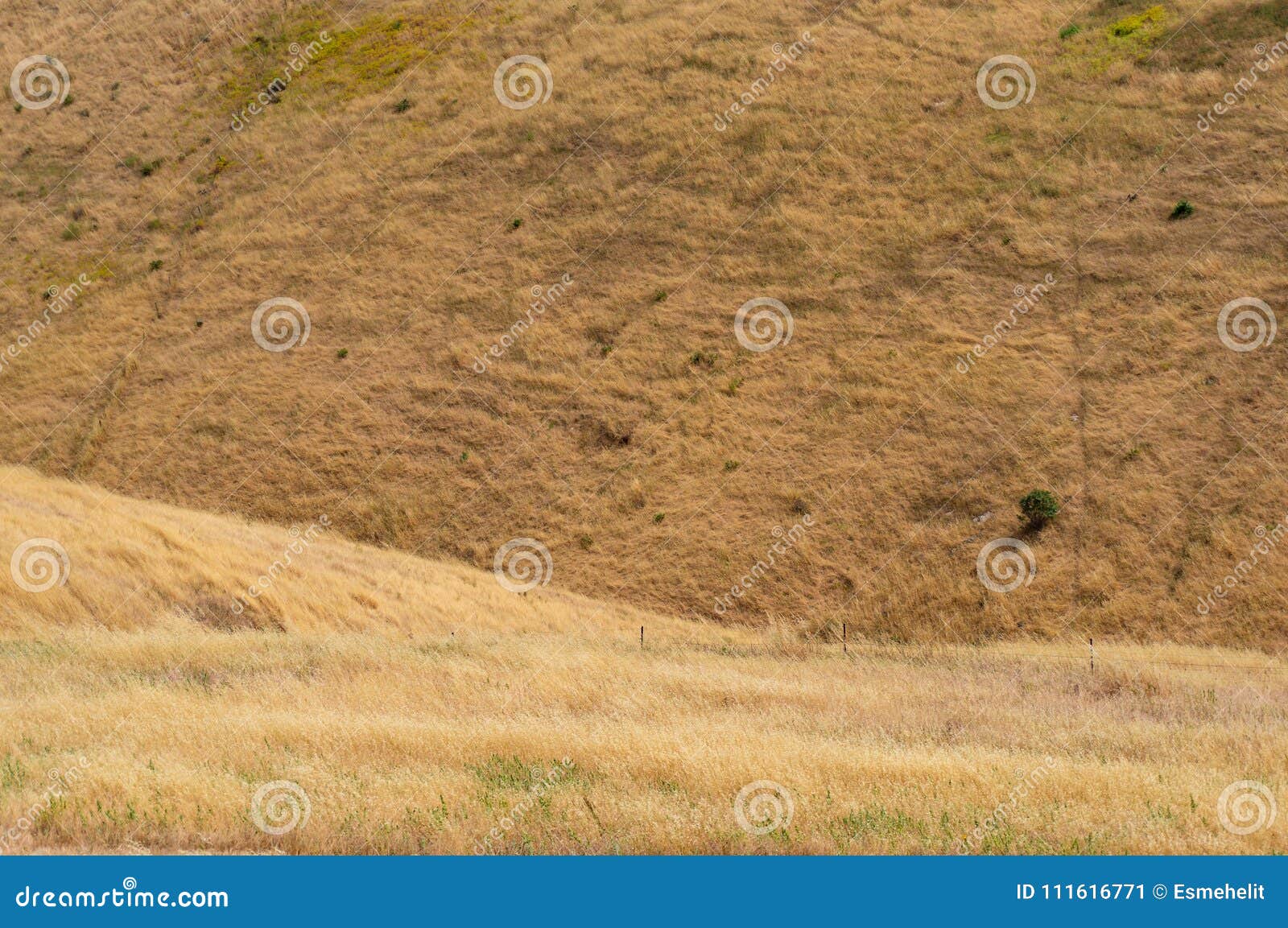 Dry Grass Hill Stock Images - Download 18,419 Royalty Free Photos