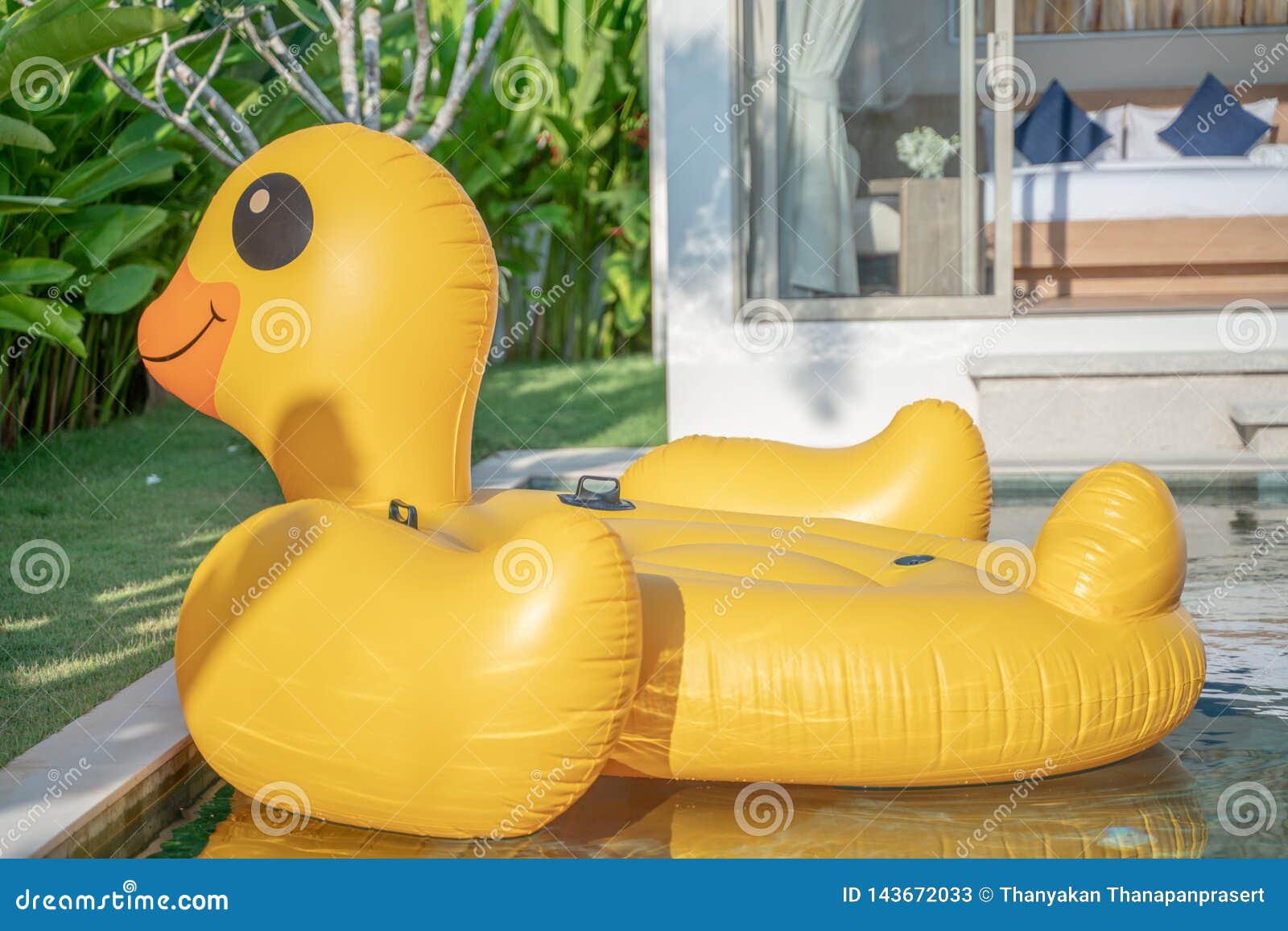 Yellow duck floating stock image. Image of life, background - 143672033