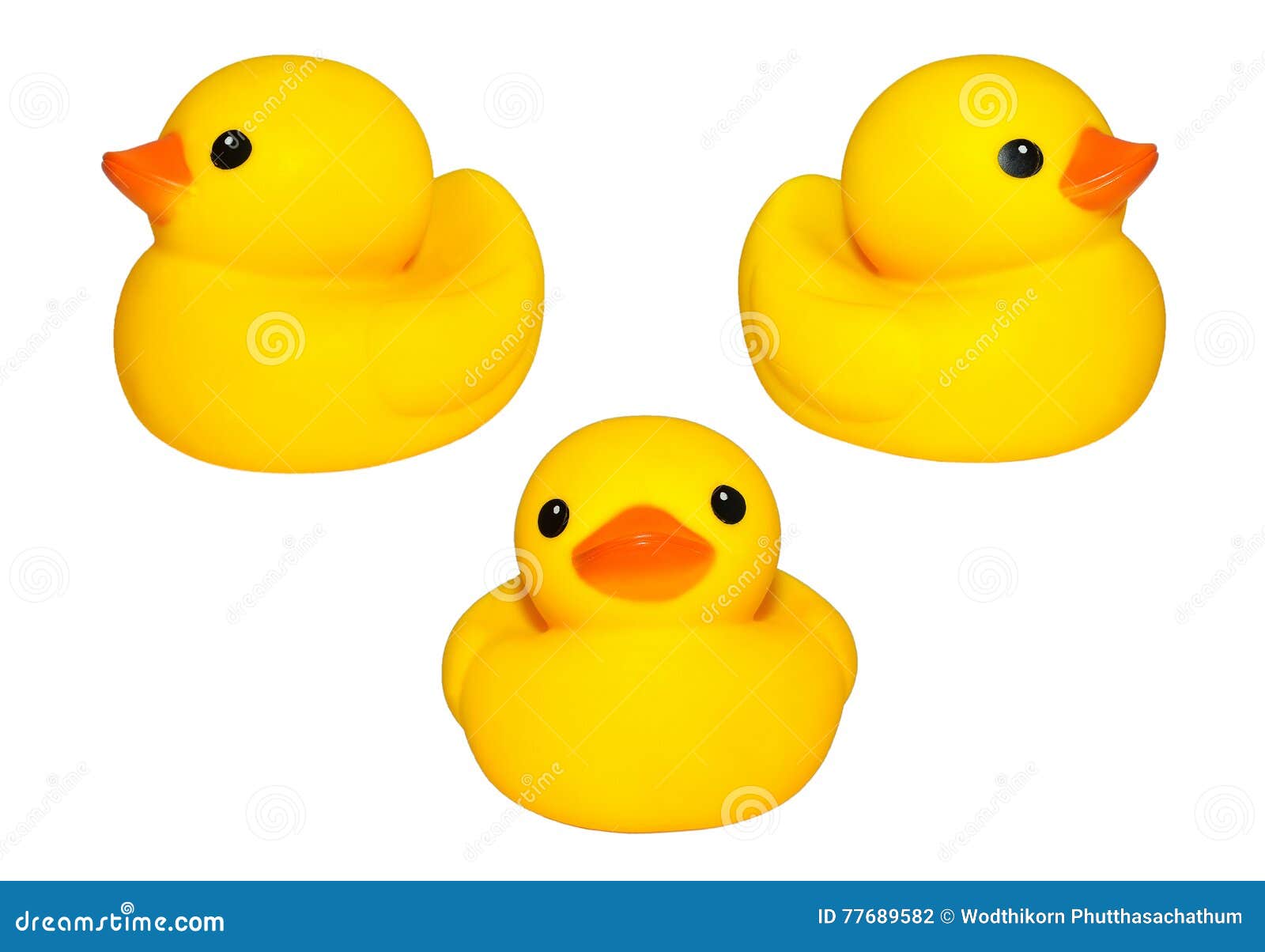 Yellow duck isolated stock photo. Image of play, shower - 77689582