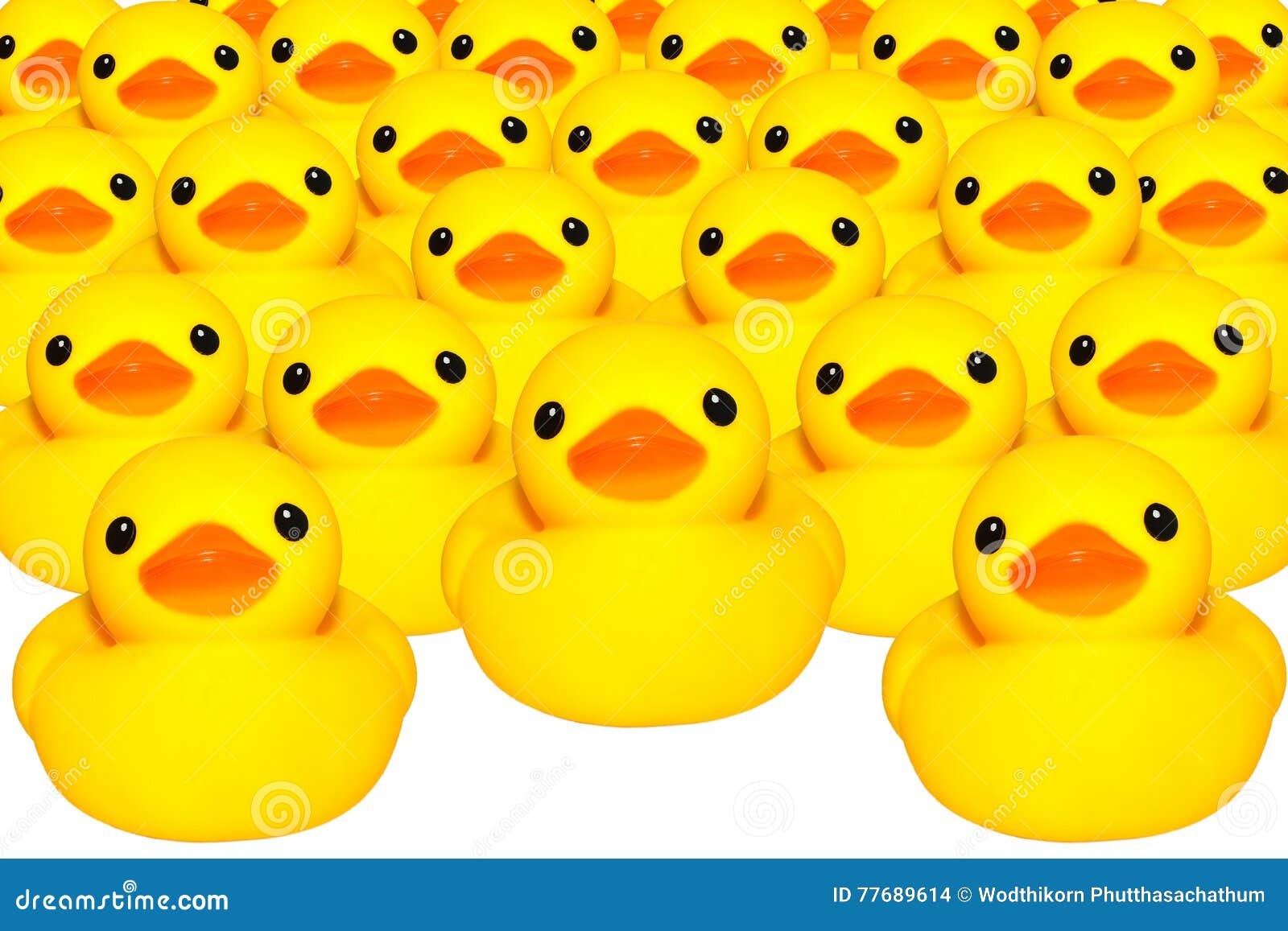 Yellow duck isolated stock photo. Image of child, dicut - 77689614