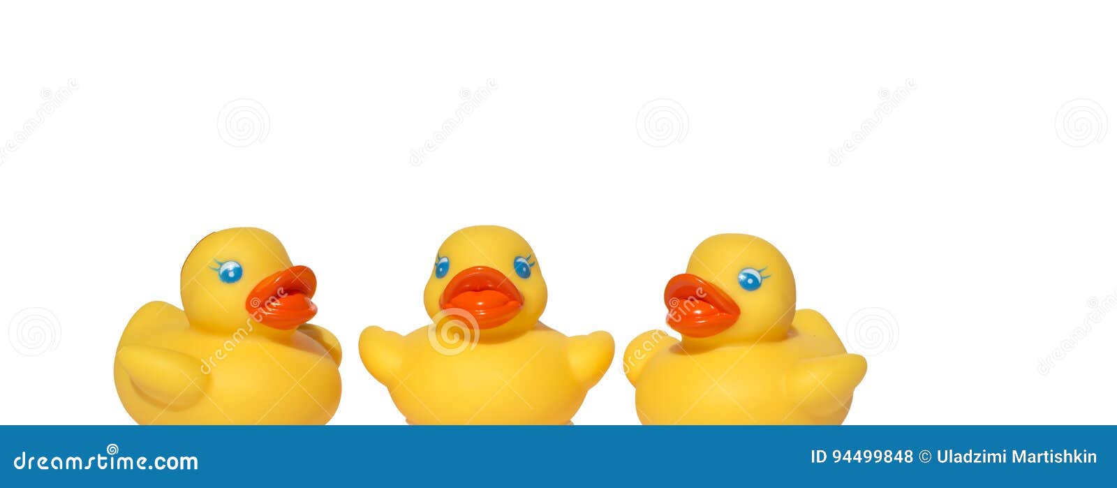 Three Yellow Ducks Swimming Stock Photo - Image of beaks, bath: 94499848