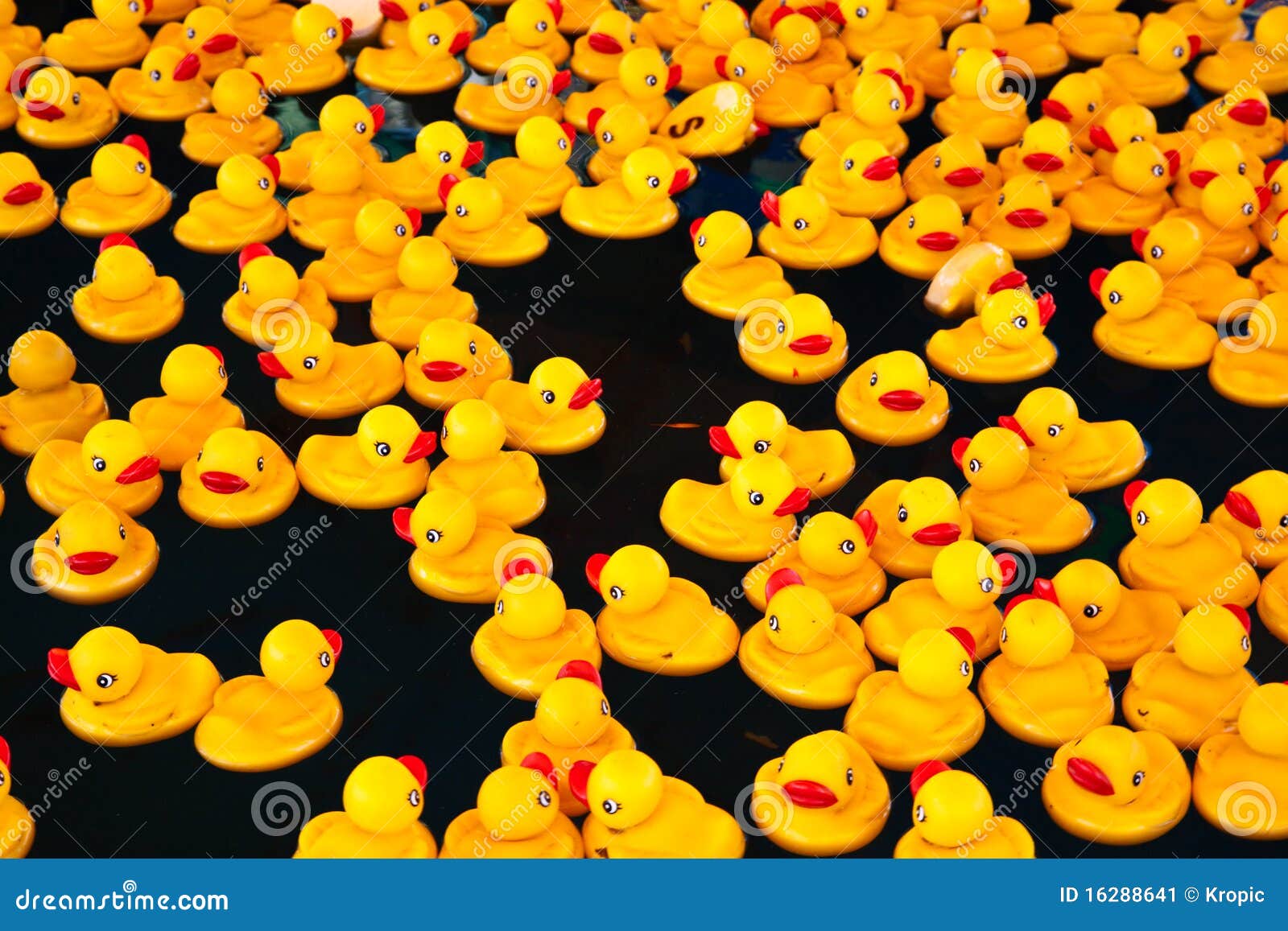 Yellow ducks in a pool stock image. Image of background - 16288641