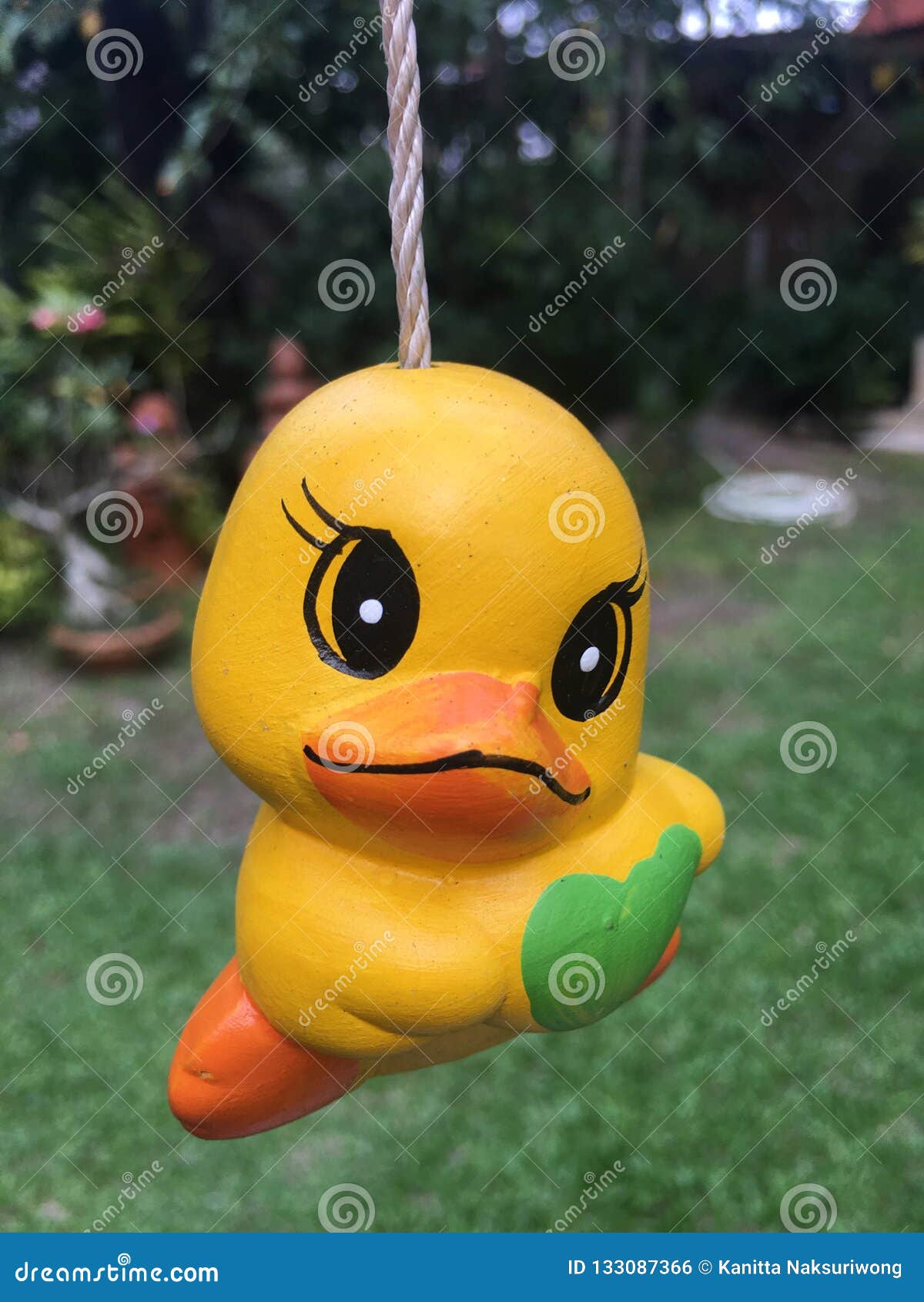 Yellow stock photo. Image of ducky, garden, yellow, lash - 133087366