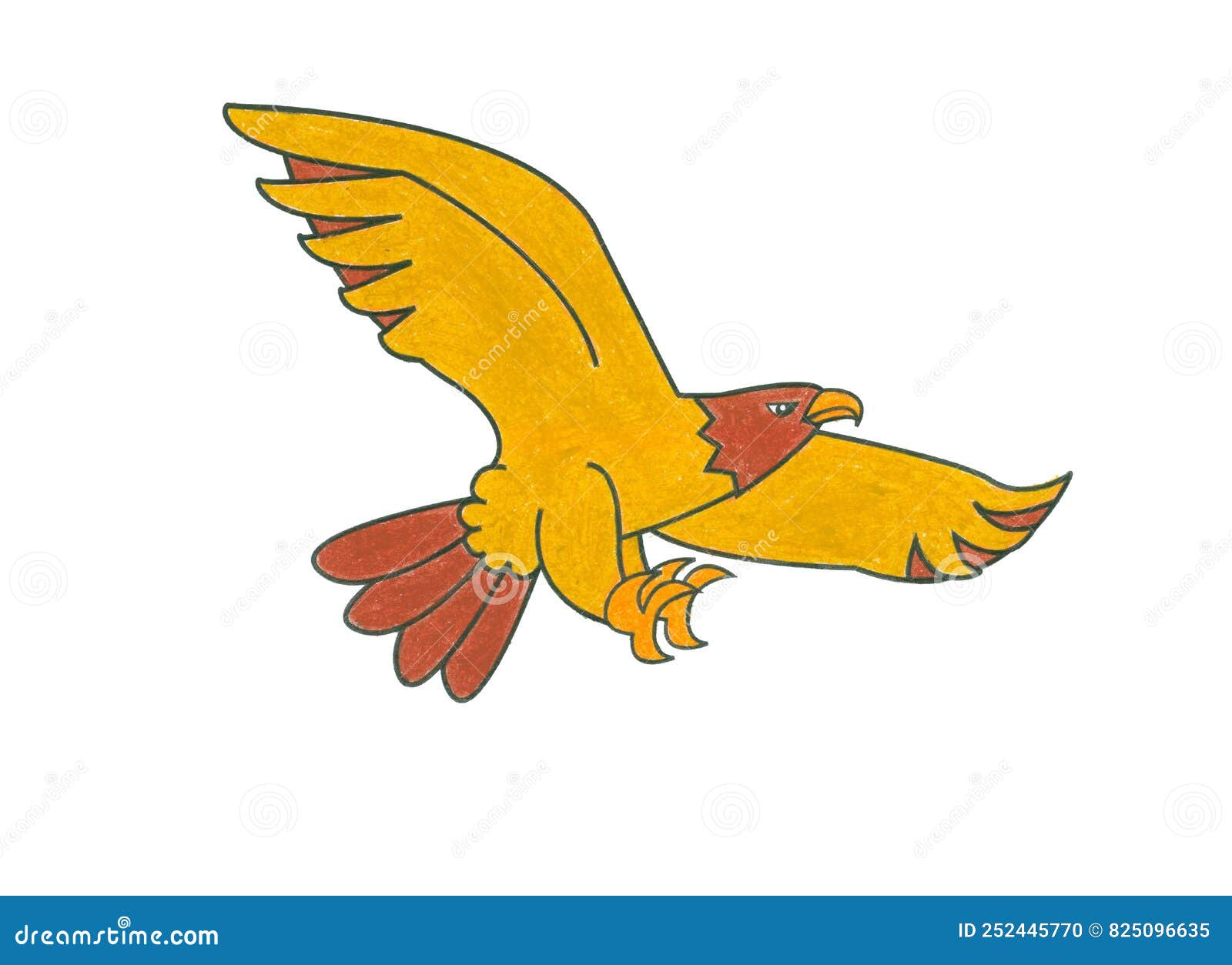 A yellow eagle is flying. stock photo. Image of yellow - 252445770