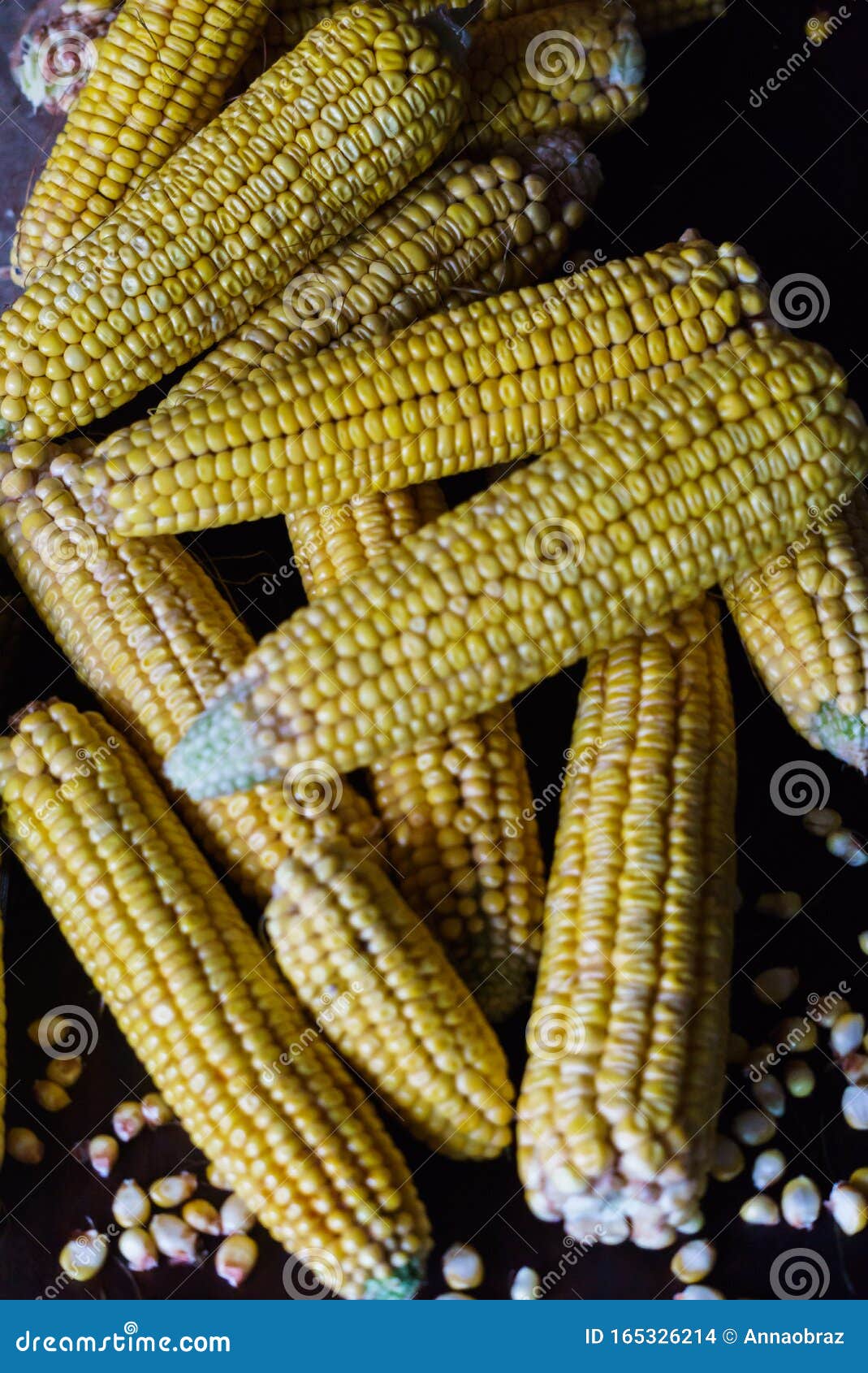 Ears Corn Stock Photos - Download 21,263 Royalty Free Photos