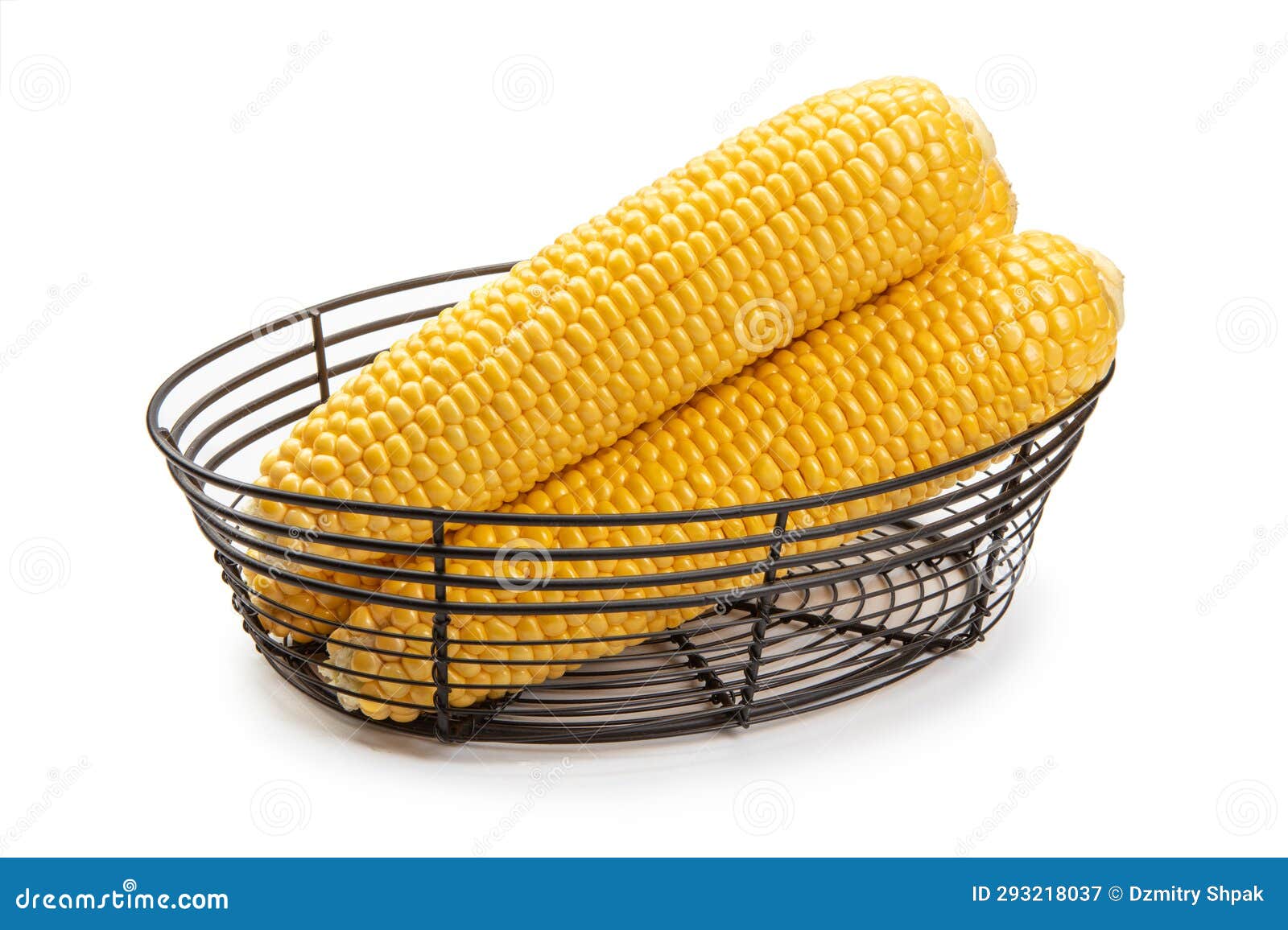Yellow Ears of Corn in a Wire Metal Black Vase Stock Image - Image of ...