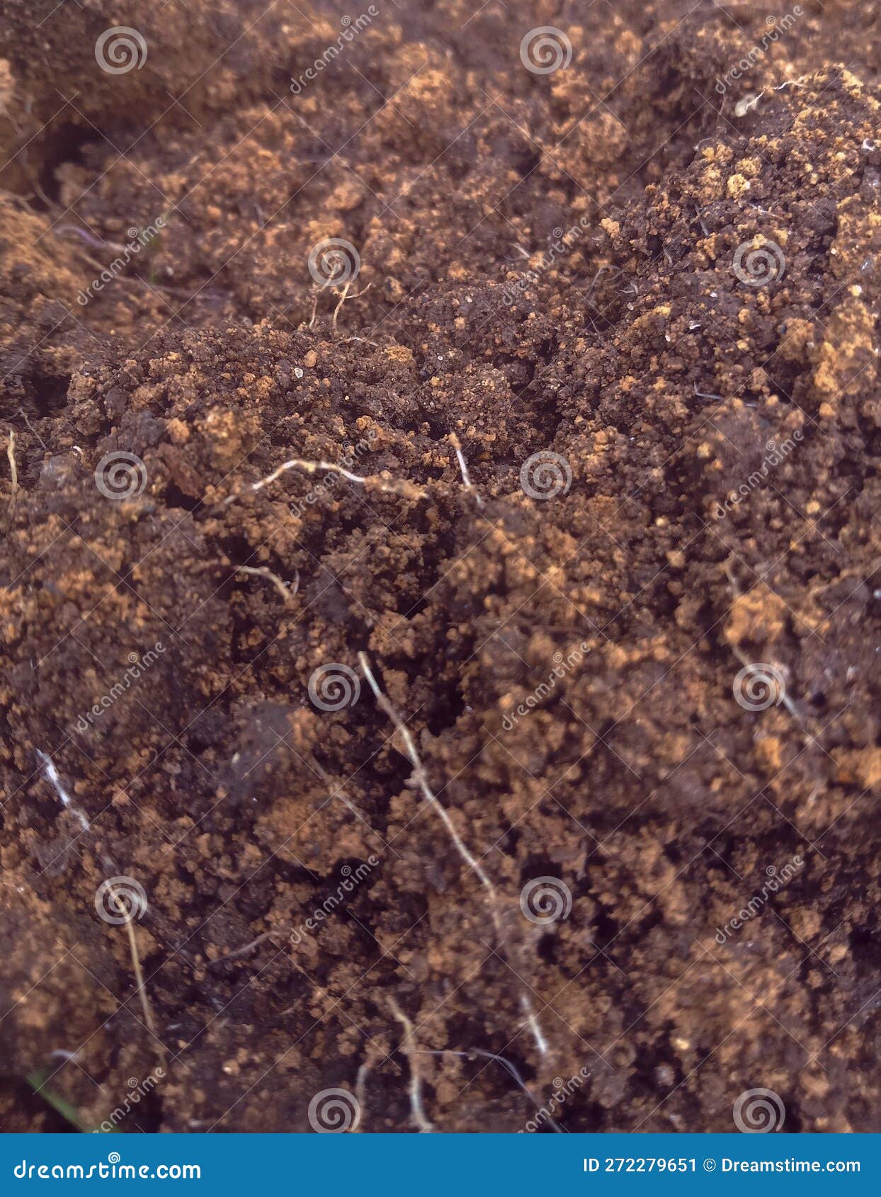 Yellow Earth or Clay Mixed with Black Soil Stock Image - Image of clay ...