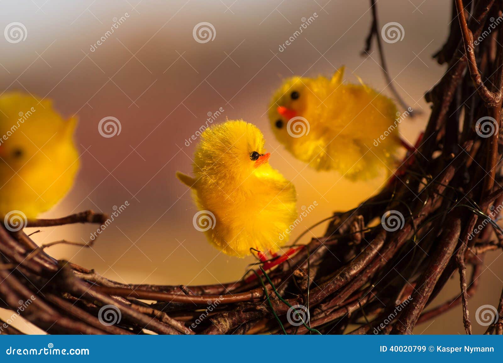 Yellow Easter Chickens Dancing on Some Twigs Stock Image - Image of ...