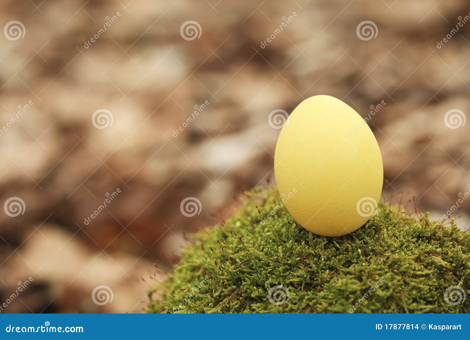 Yellow easter egg stock photo. Image of depth, green - 17877814