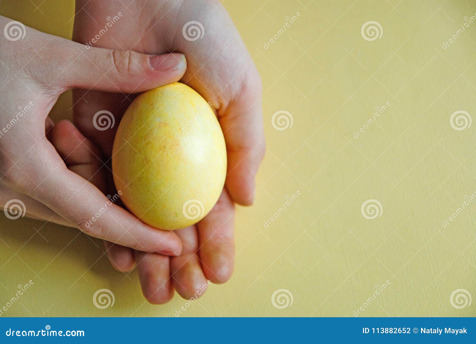 Yellow Easter Egg in the Palm of Your Hand Stock Photo - Image of beak ...