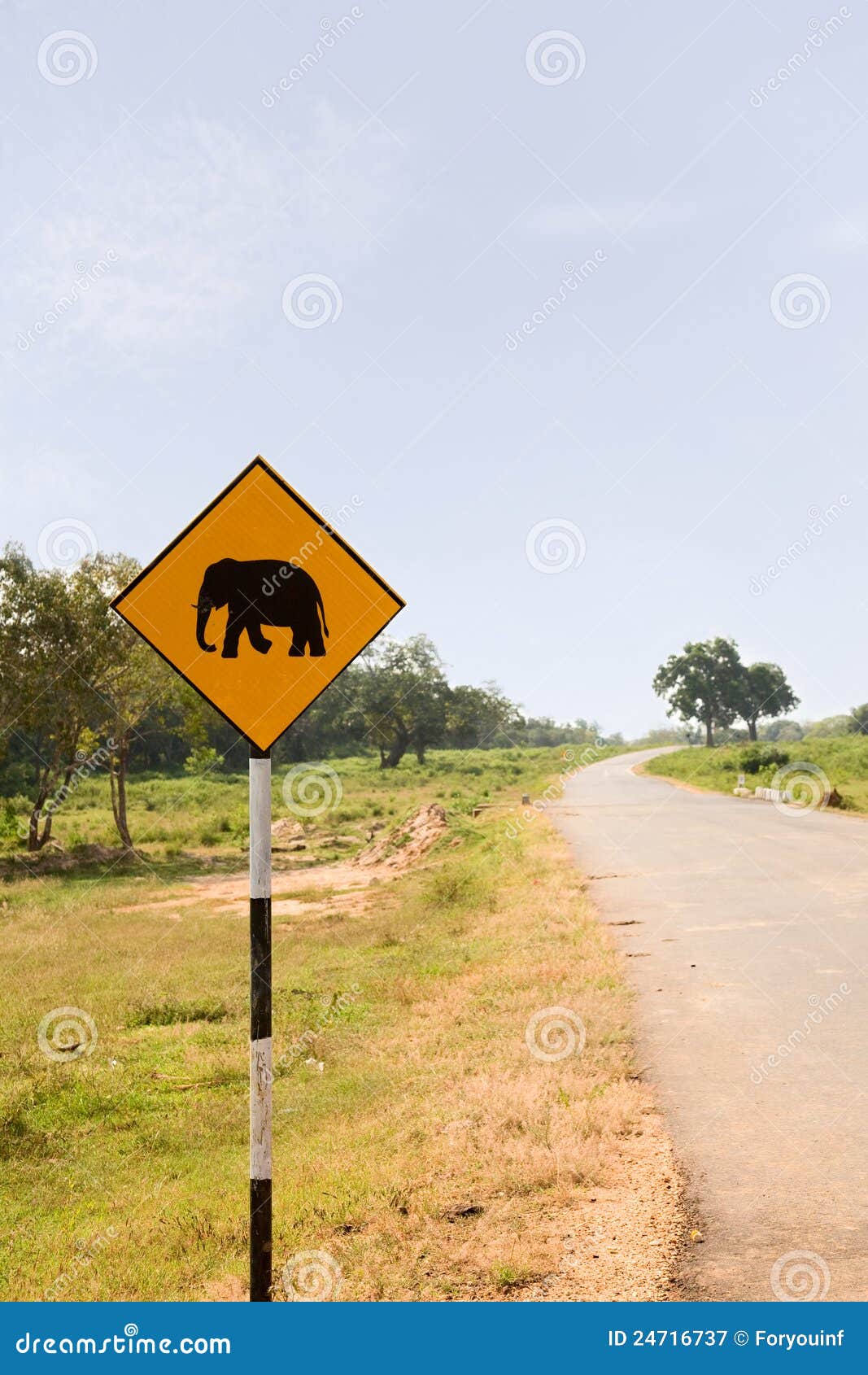 Yellow Elephant Wanring Sign on the Road Stock Image - Image of traffic ...