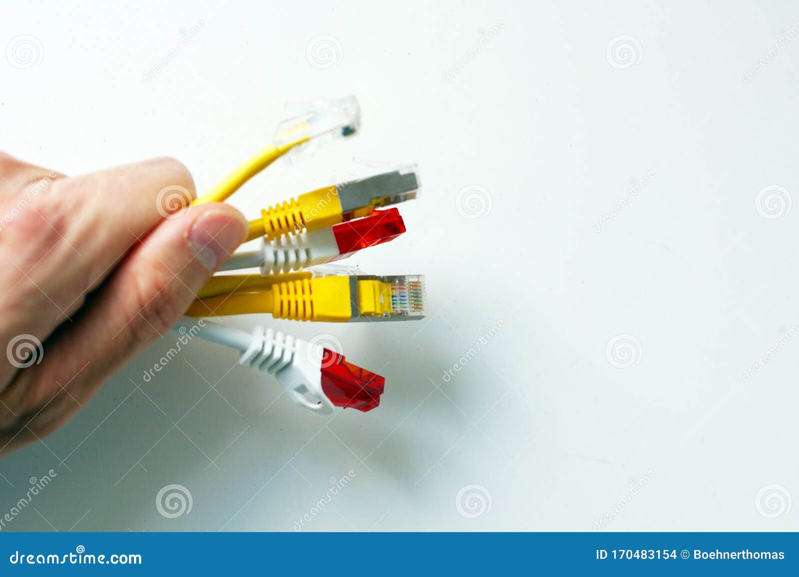 Ethernet Cables in a Human Hand Stock Photo - Image of information ...