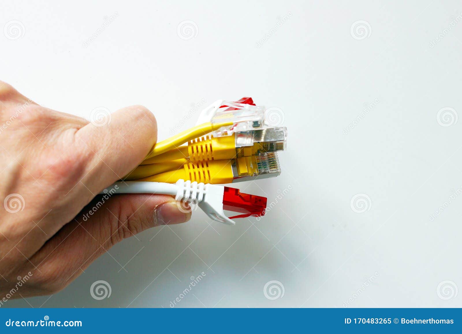 Ethernet Cables in a Human Hand Stock Image - Image of hand ...