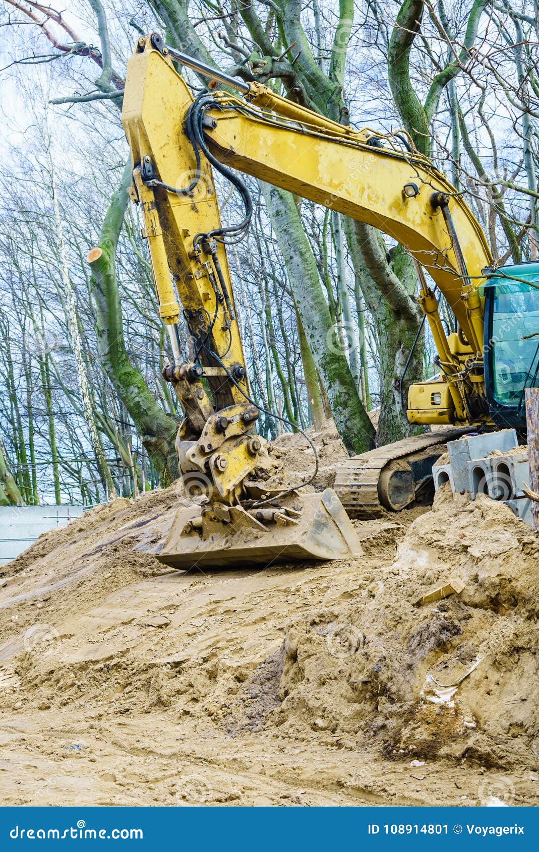Excavator Digging on Site in Forest Environment. Stock Image - Image of ...