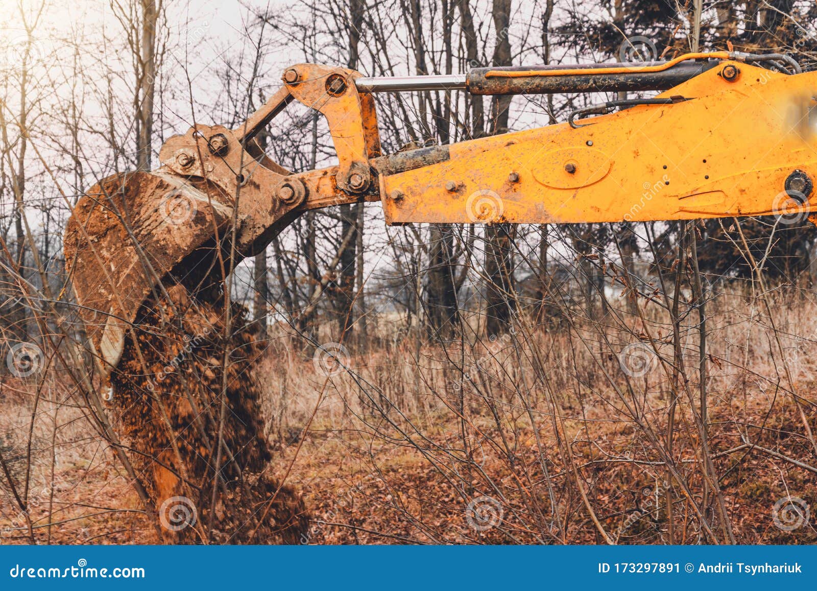 A Yellow Excavator in the Forest Digs a Pit for a Pond Stock Image ...