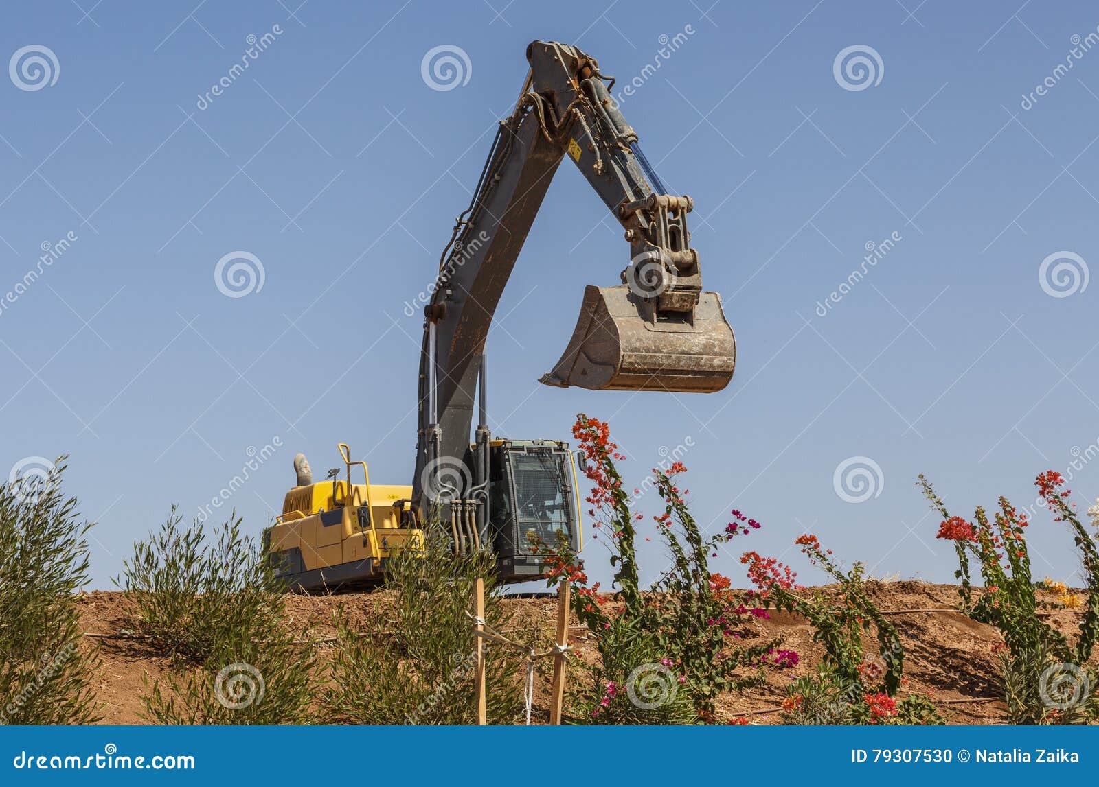 Yellow Excavator Stands on a Hill Stock Photo - Image of equipment ...