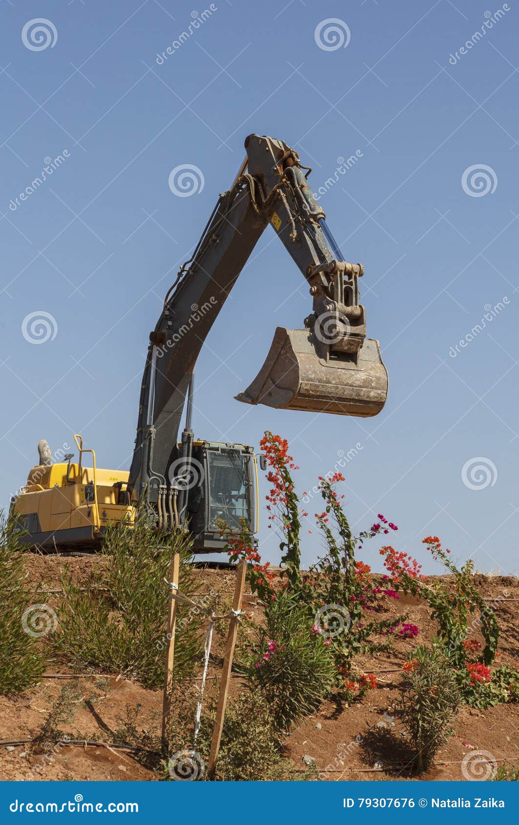 Yellow Excavator Stands on a Hill Stock Photo - Image of heavy, loader ...