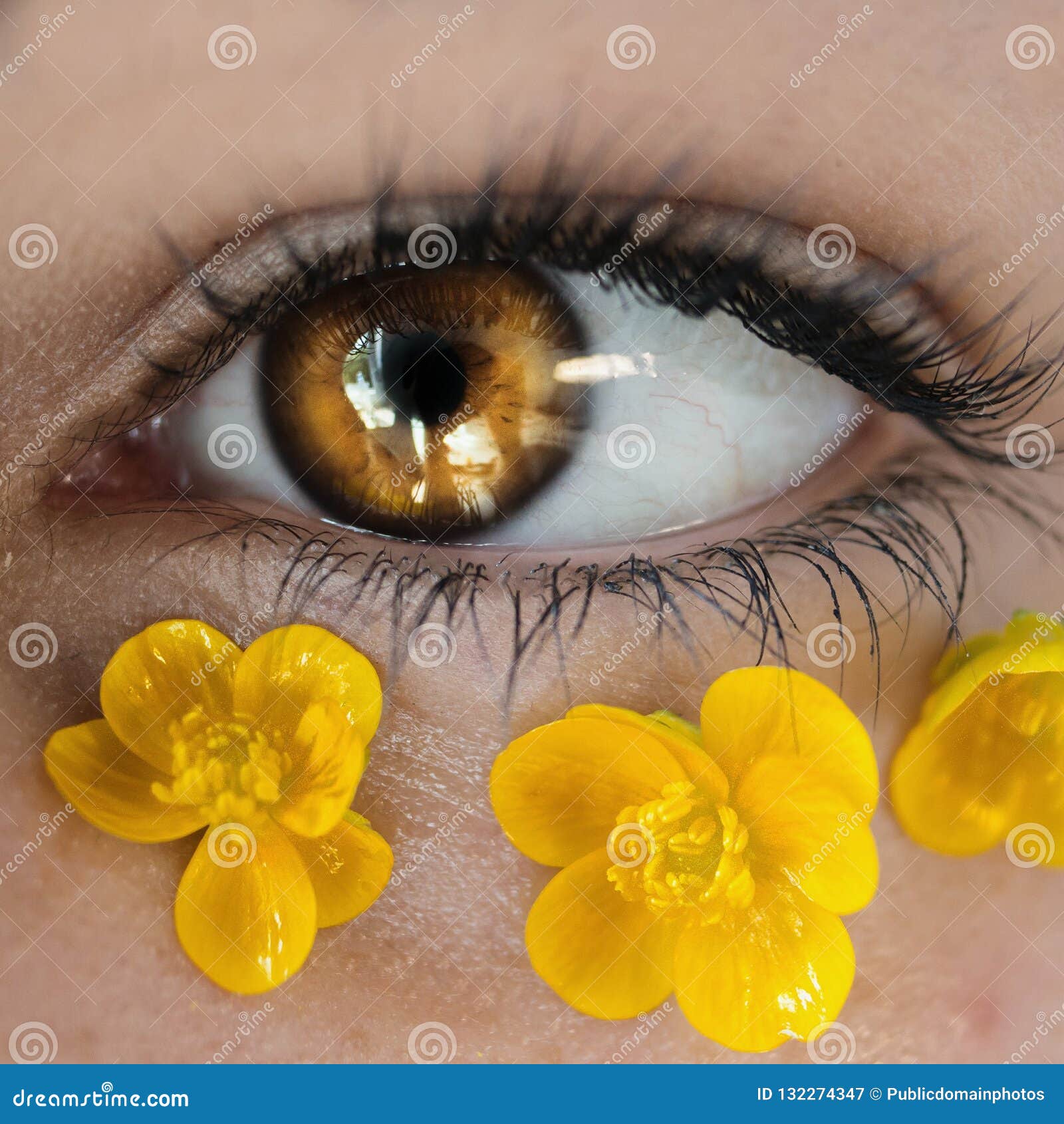 Yellow, Eye, Eyelash, Close Up Picture. Image: 132274347