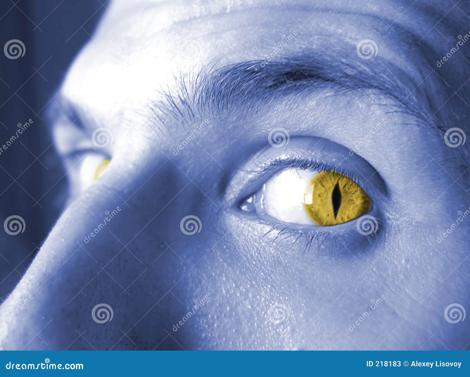 Yellow eyes 2 stock image. Image of face, green, eyes, people - 218183