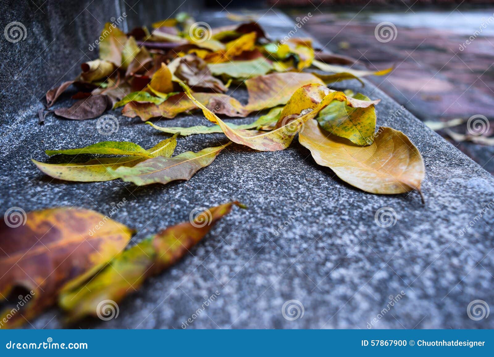 Yellow Falling Leaves on Granite Steps on Autumn Time Stock Photo ...