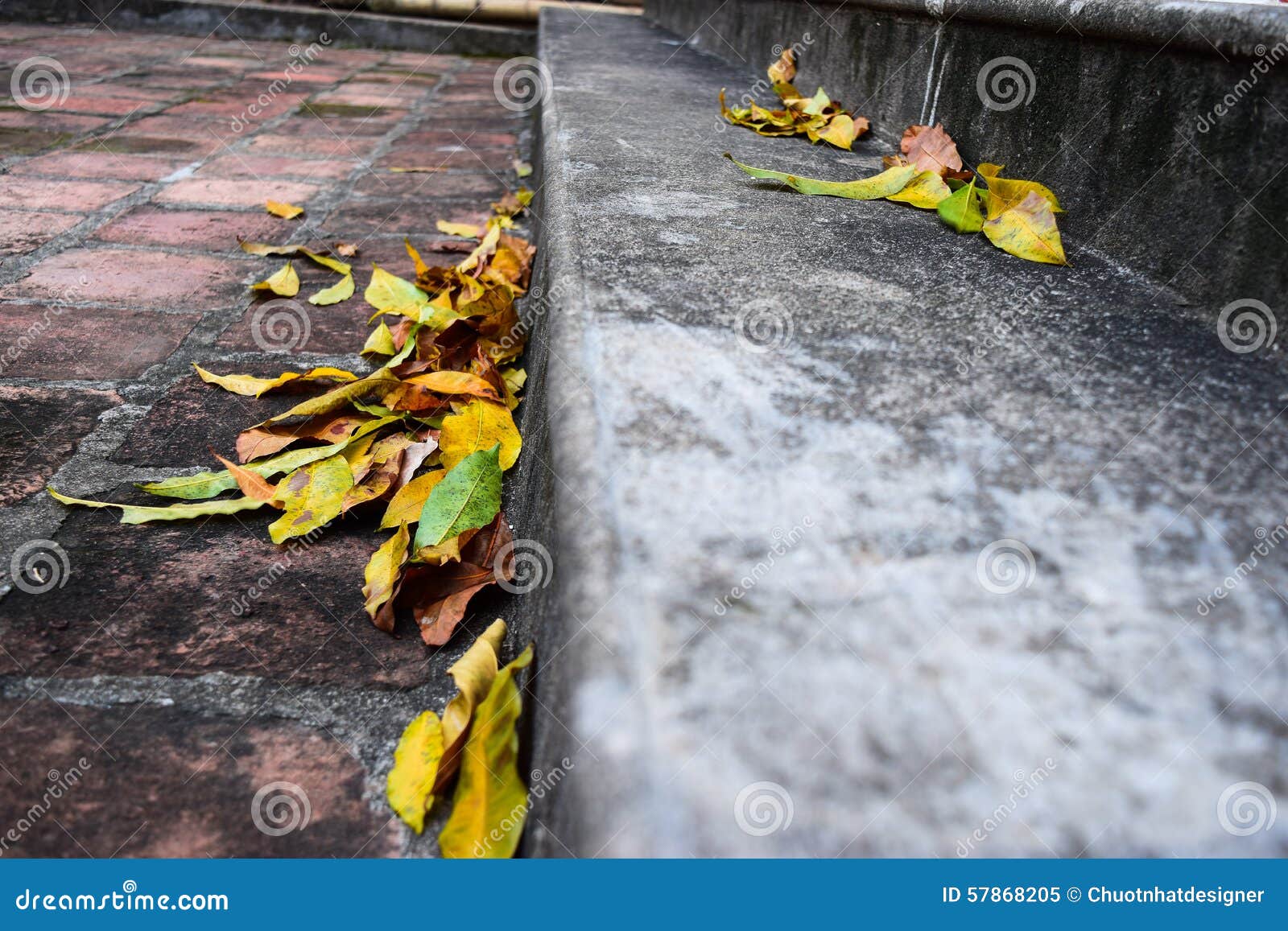 Yellow Falling Leaves on Granite Steps on Autumn Time Stock Image ...